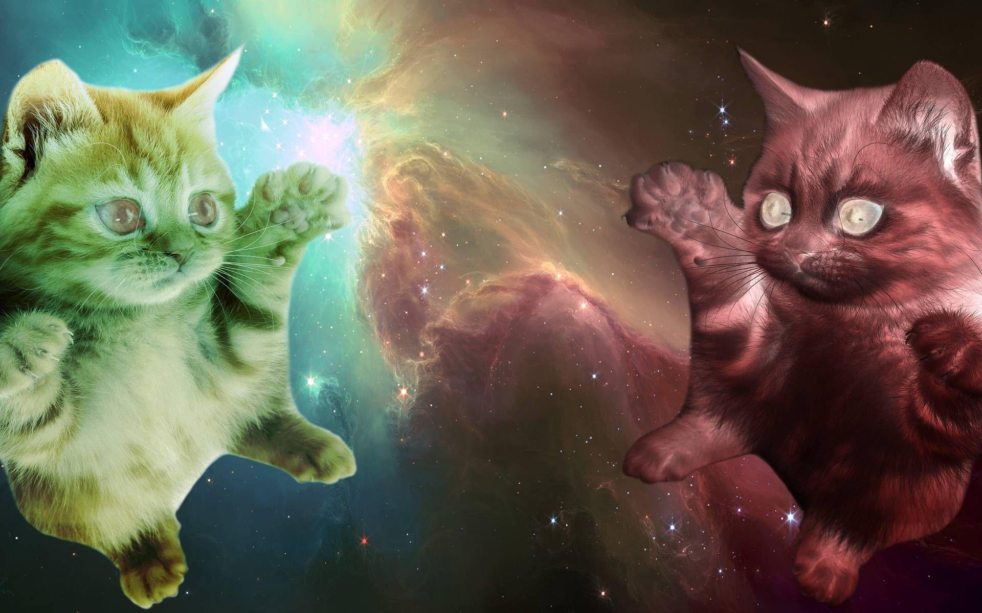 Galaxy Cat Wallpapers - Top Free Galaxy Cat Backgrounds - WallpaperAccess