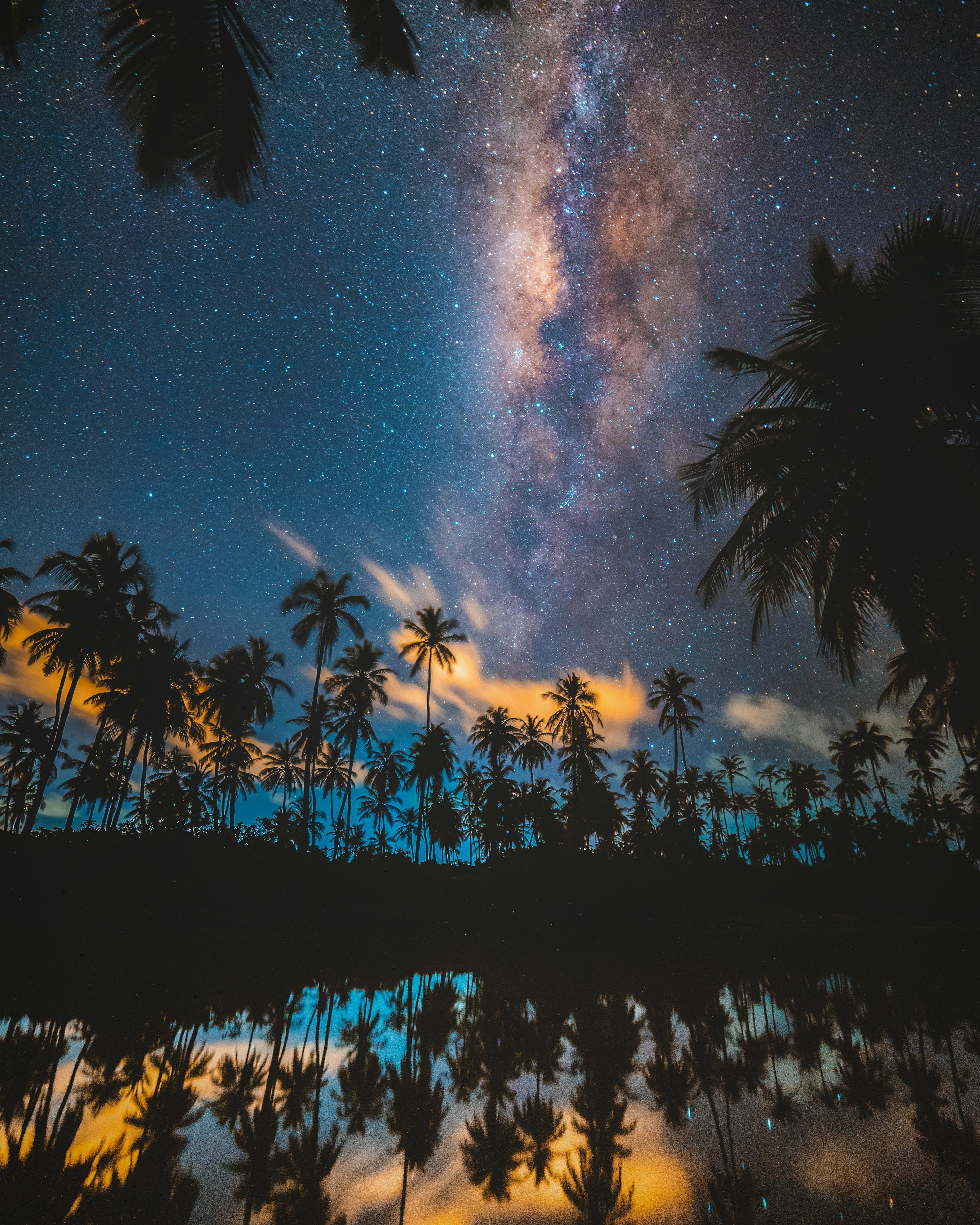 Tropical Night Wallpapers - Top Free Tropical Night Backgrounds ...