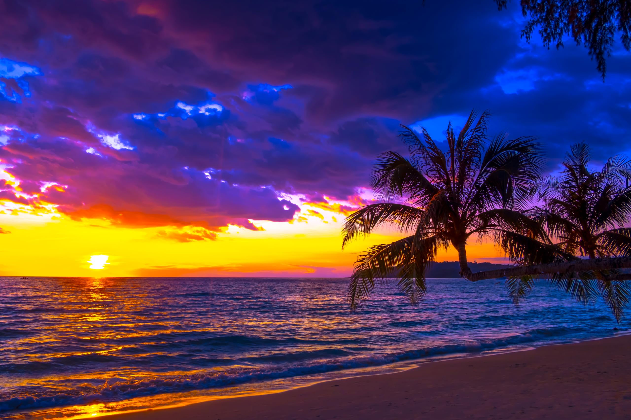 Tropical Night Wallpapers - Top Free Tropical Night Backgrounds ...
