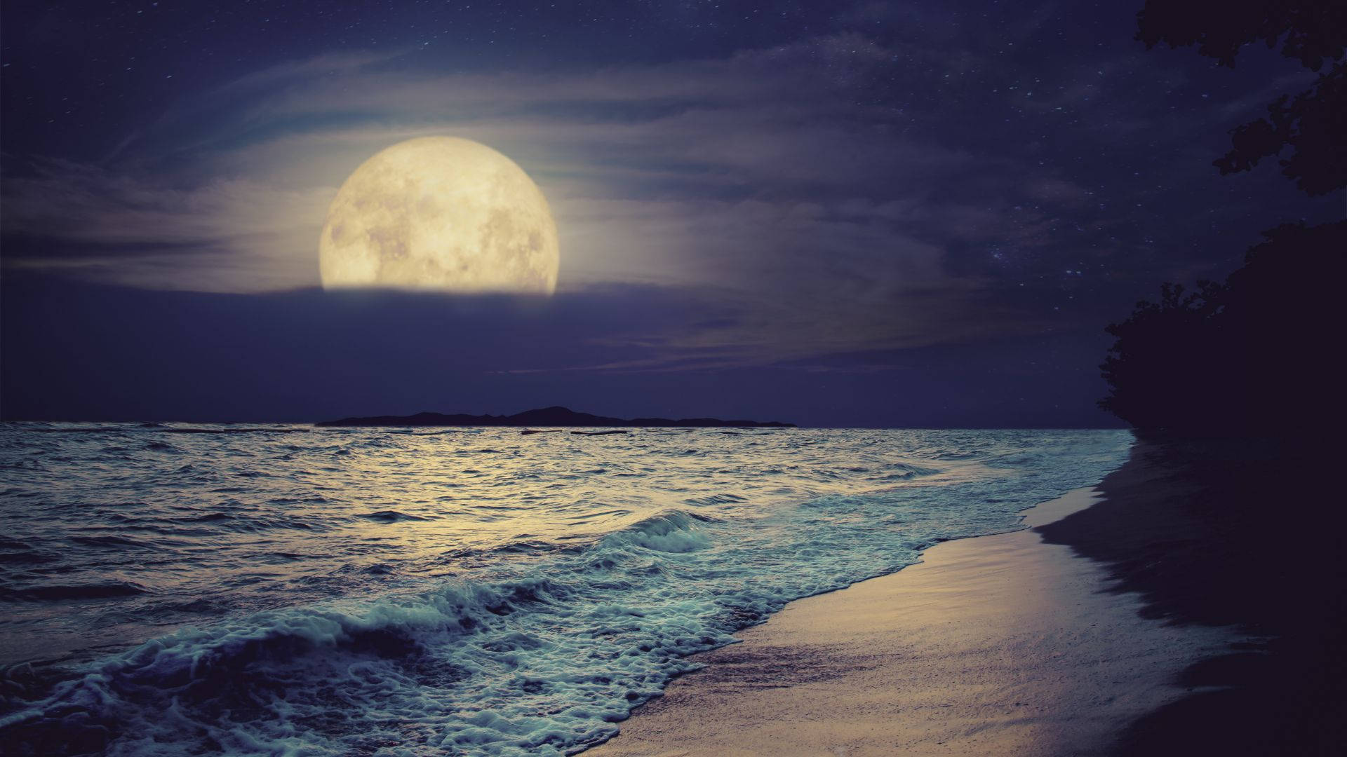 Tropical Night Wallpapers - Top Free Tropical Night Backgrounds ...