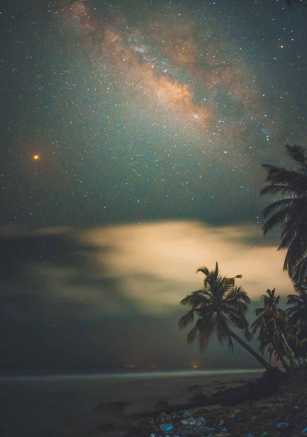 Tropical Night Wallpapers - Top Free Tropical Night Backgrounds ...