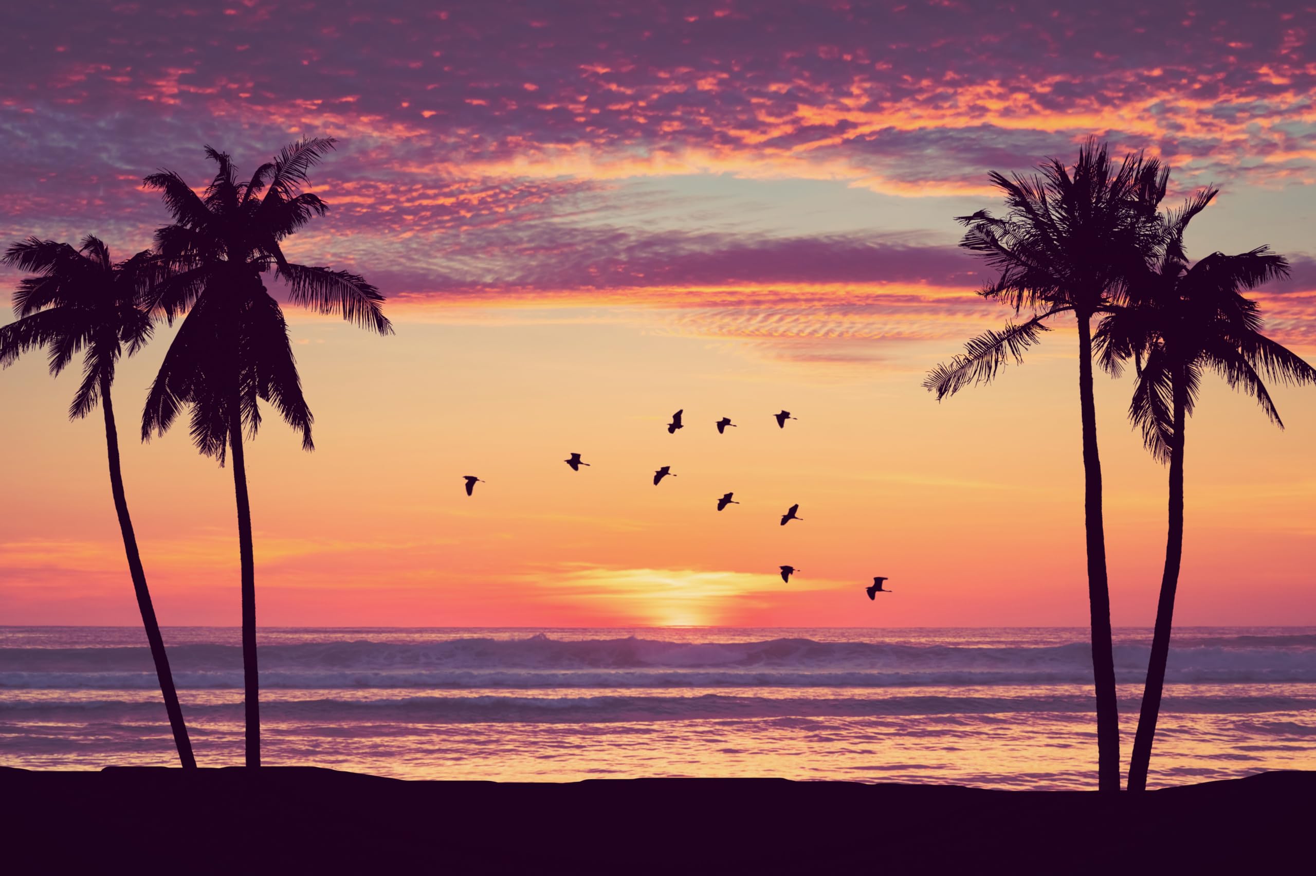 Tropical Night Wallpapers - Top Free Tropical Night Backgrounds ...