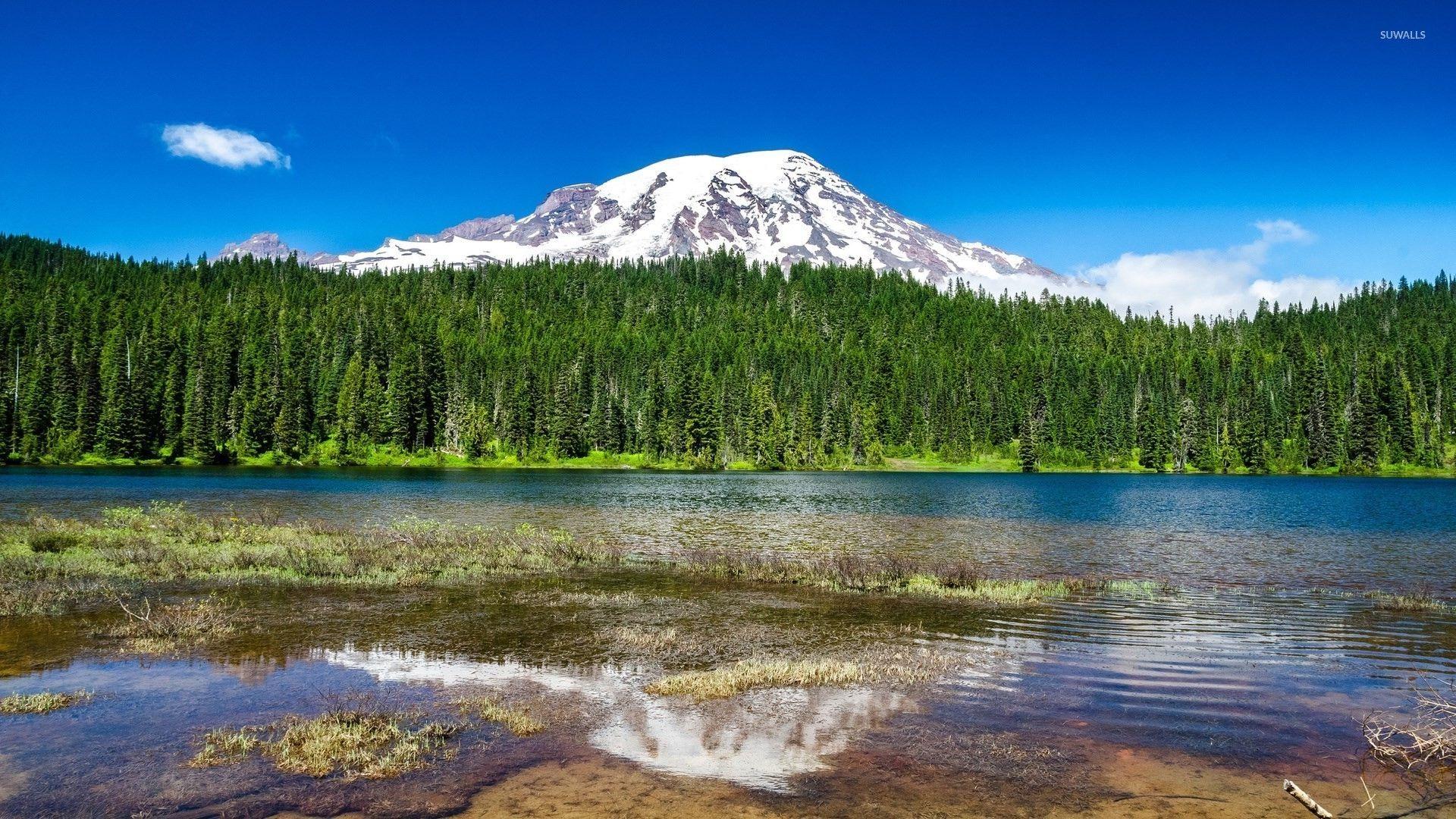Mount Rainier Wallpapers - Top Free Mount Rainier Backgrounds ...
