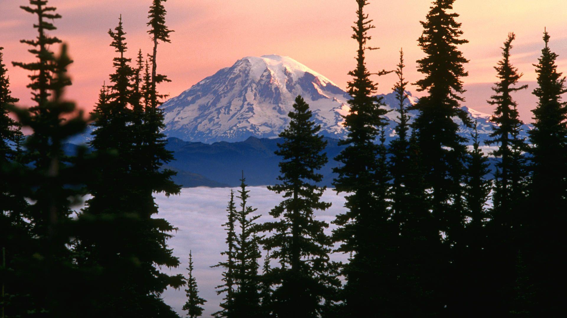Mount Rainier Wallpapers - Top Free Mount Rainier Backgrounds - WallpaperAccess