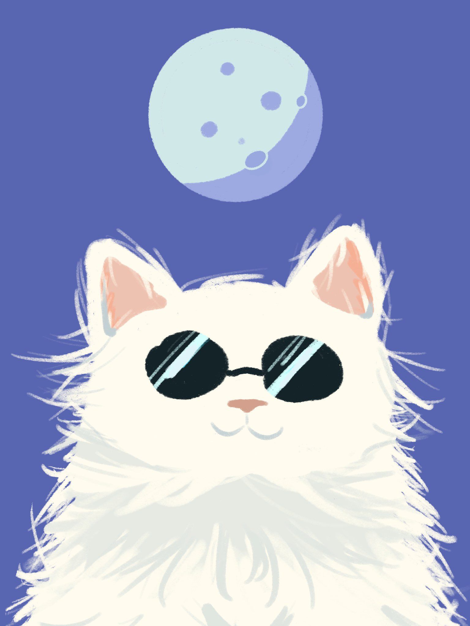 Gojo Cat Wallpapers - Top Free Gojo Cat Backgrounds - WallpaperAccess