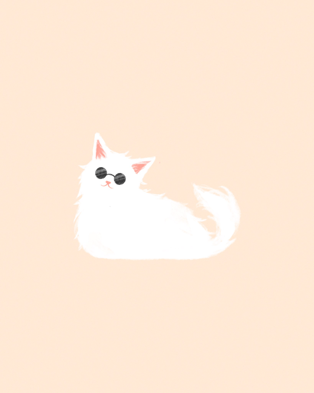 Gojo Cat Wallpapers - Top Free Gojo Cat Backgrounds - WallpaperAccess