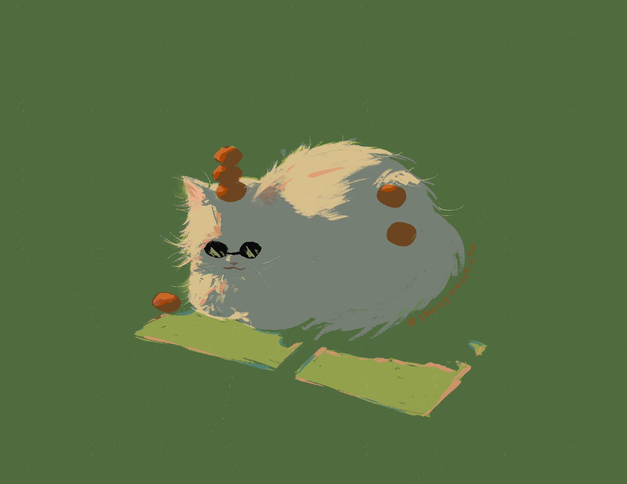 Gojo Cat Wallpapers - Top Free Gojo Cat Backgrounds - WallpaperAccess