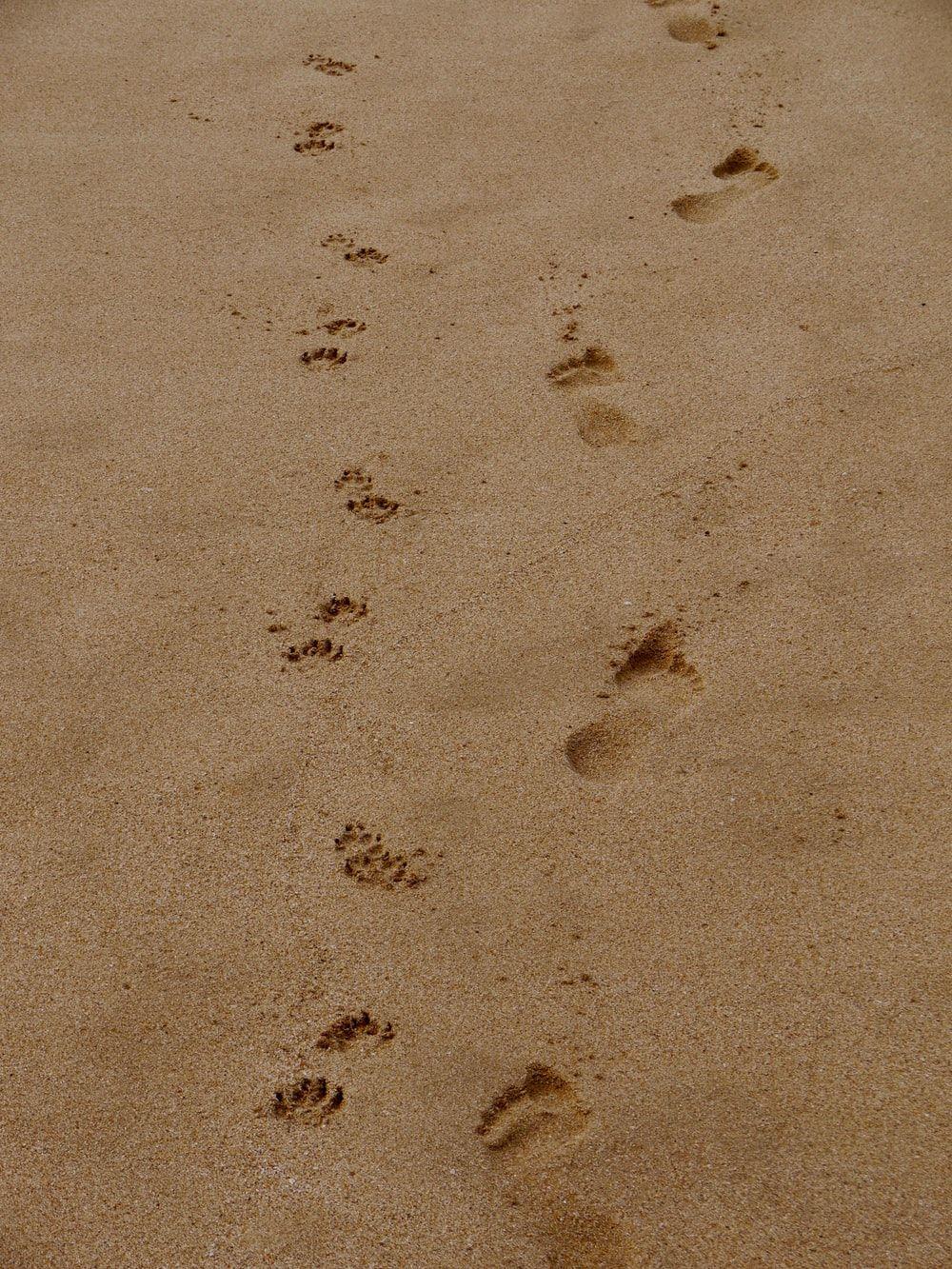 Footprints Wallpapers - Top Free Footprints Backgrounds - WallpaperAccess