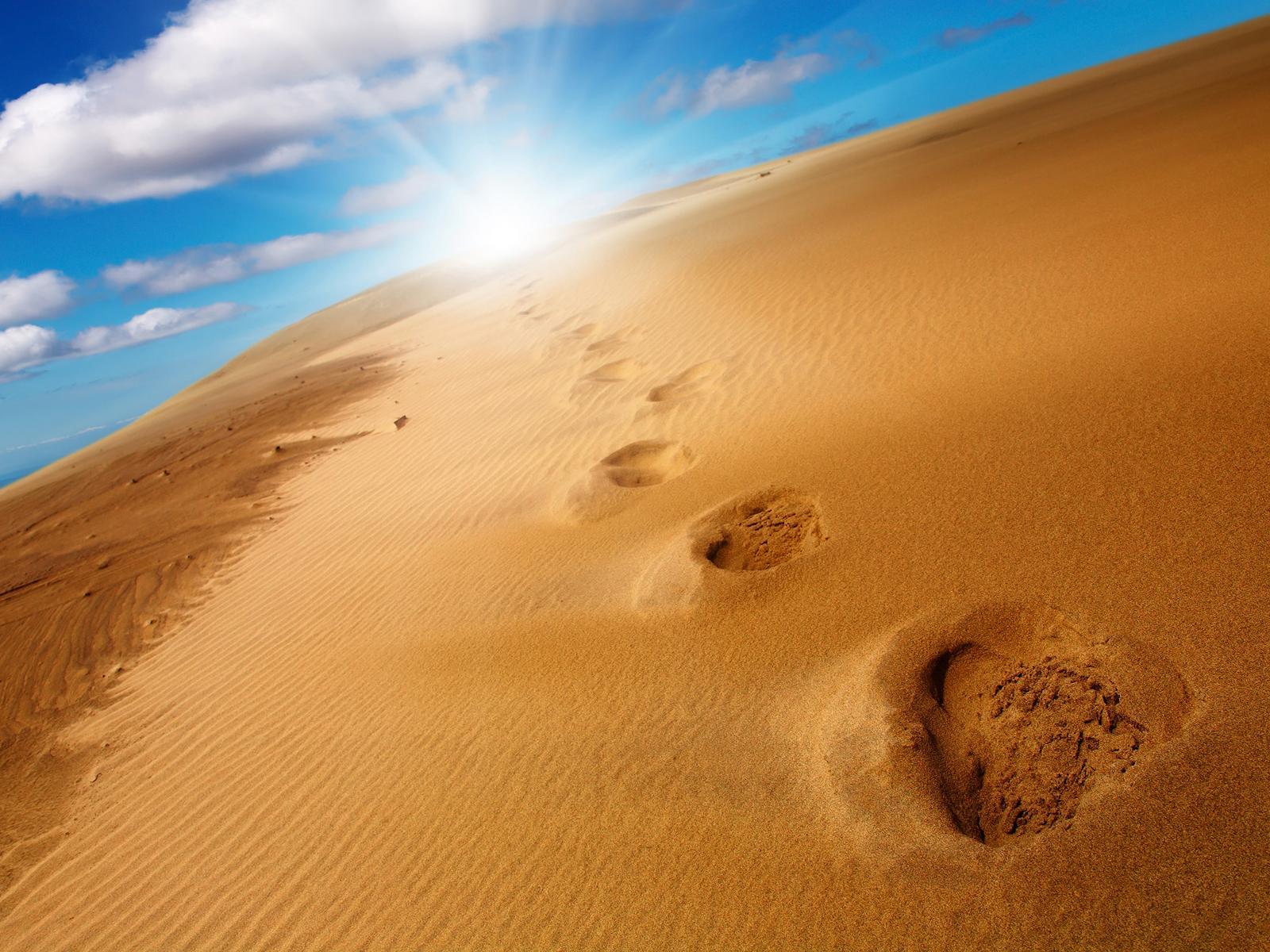 Footprint Wallpapers - Top Free Footprint Backgrounds - WallpaperAccess