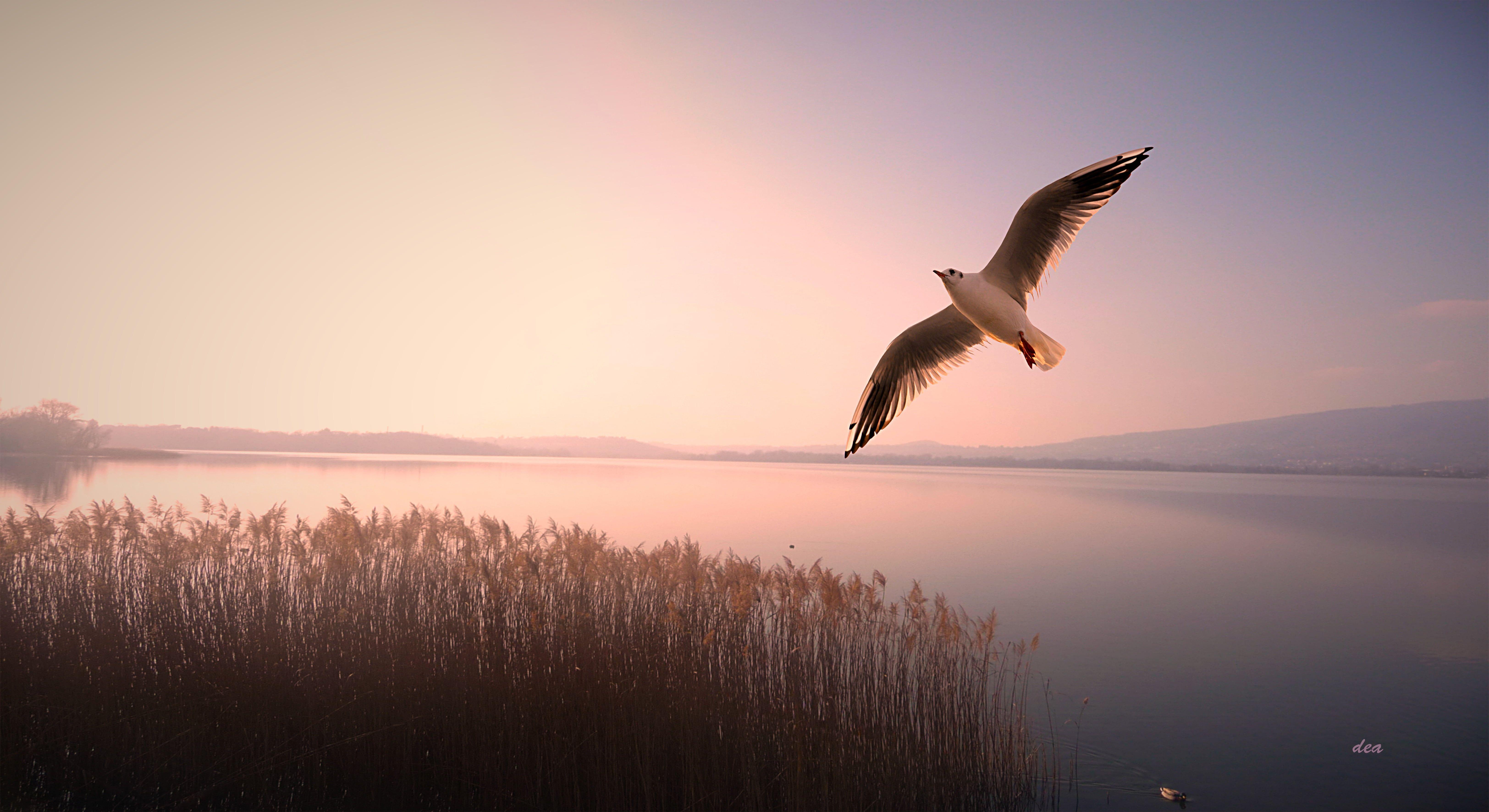 Immigration Wallpapers - Top Free Immigration Backgrounds - WallpaperAccess