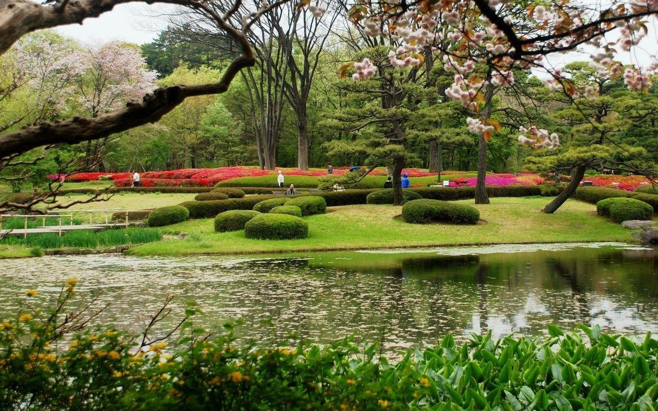 Screensavers Wallpapers - Top Free Screensavers Backgrounds ...