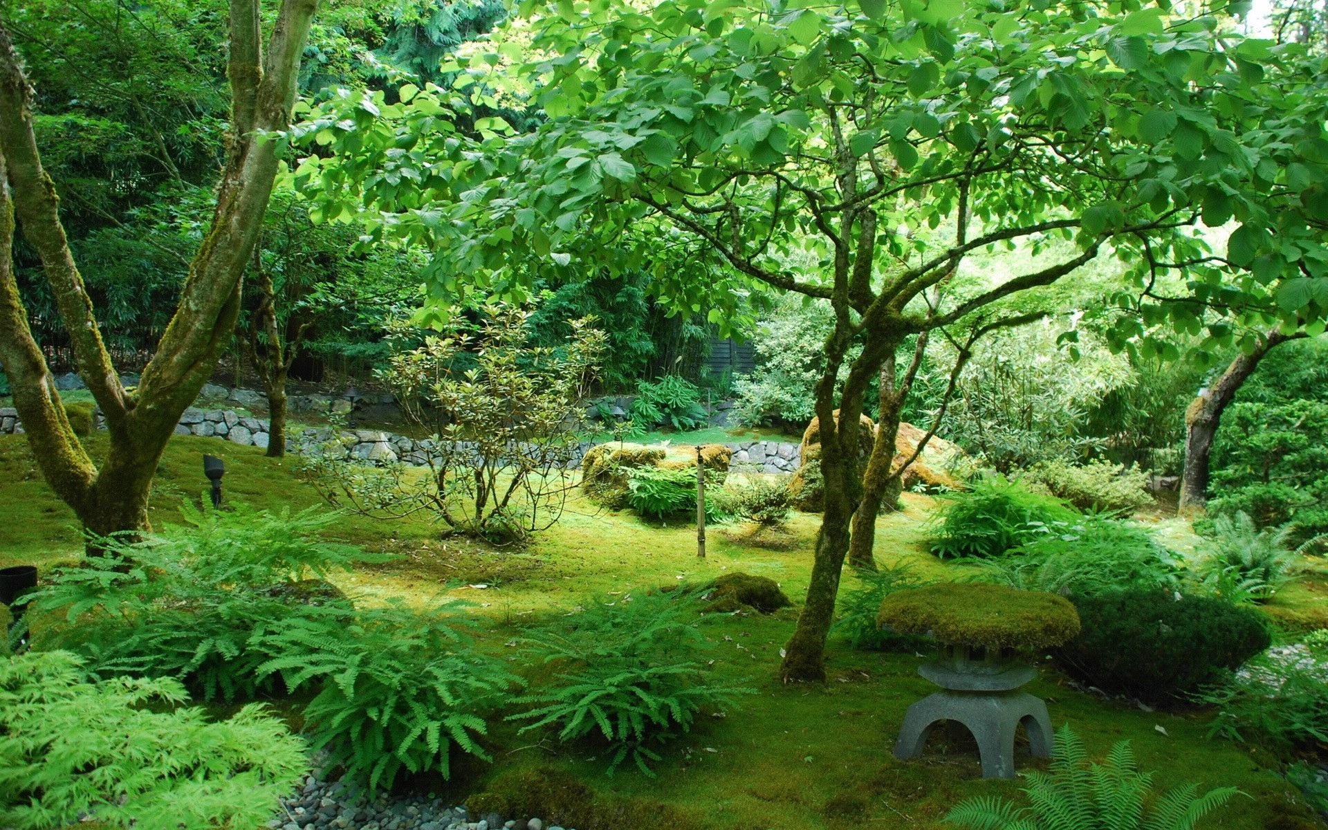 Peaceful Scenes Wallpapers - Top Free Peaceful Scenes Backgrounds ...