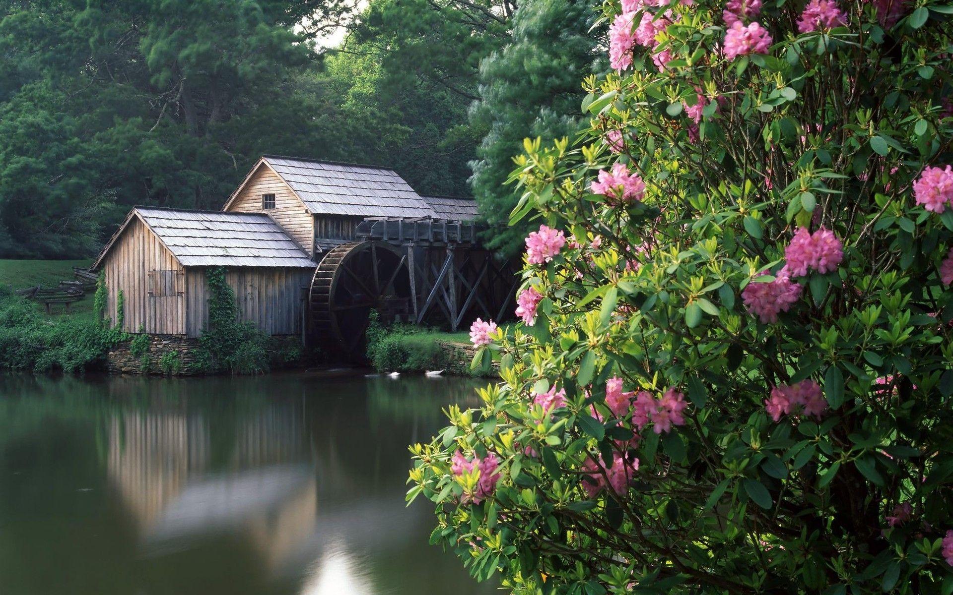 Peaceful Scenes Wallpapers - Top Free Peaceful Scenes Backgrounds ...