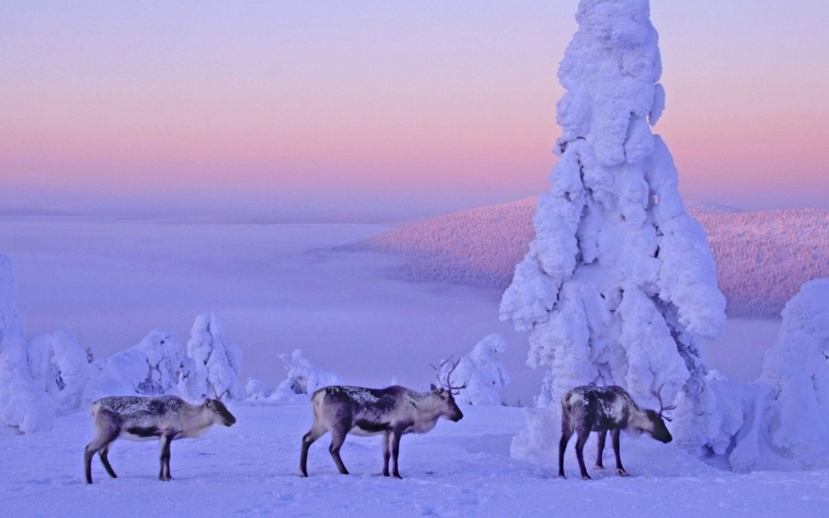 Tumblr Winter Desktop Wallpapers - Top Free Tumblr Winter Desktop ...