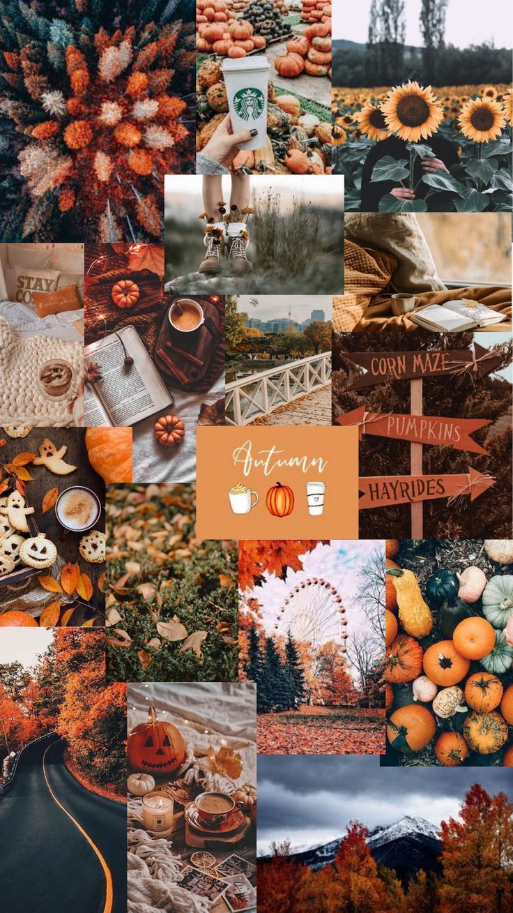 November Collage Wallpapers - Top Free November Collage Backgrounds ...