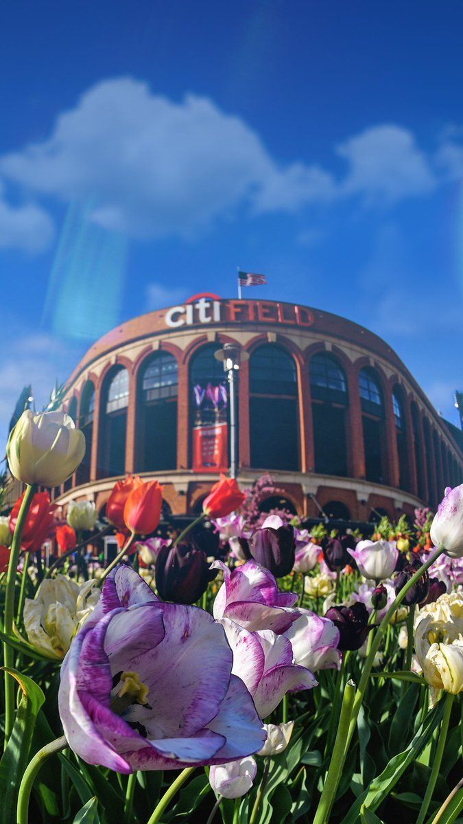 Citi Field Wallpapers - Top Free Citi Field Backgrounds - WallpaperAccess