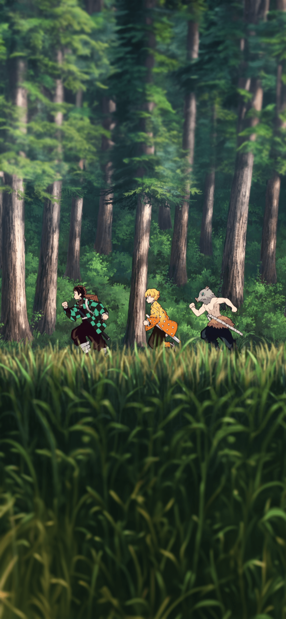 Demon Slayer Forest Wallpapers - Top Free Demon Slayer Forest ...