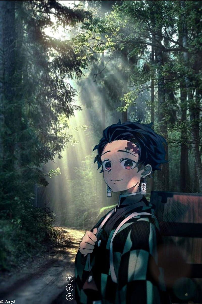 Demon Slayer Forest Wallpapers - Top Free Demon Slayer Forest ...
