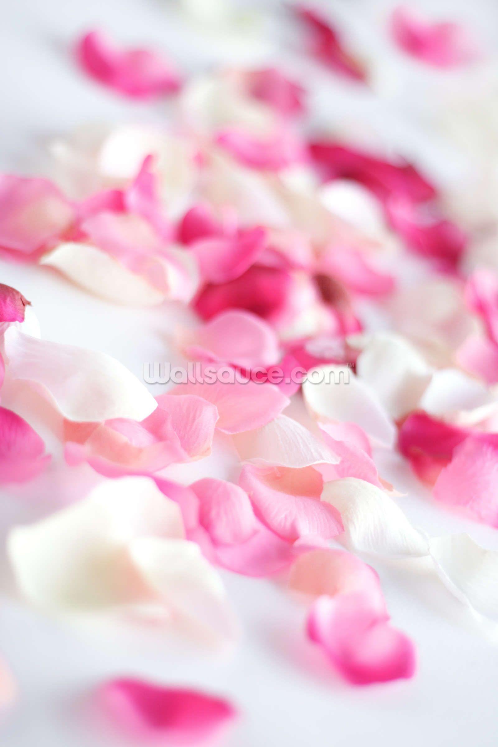 Flower Petals Wallpapers - Top Free Flower Petals Backgrounds ...