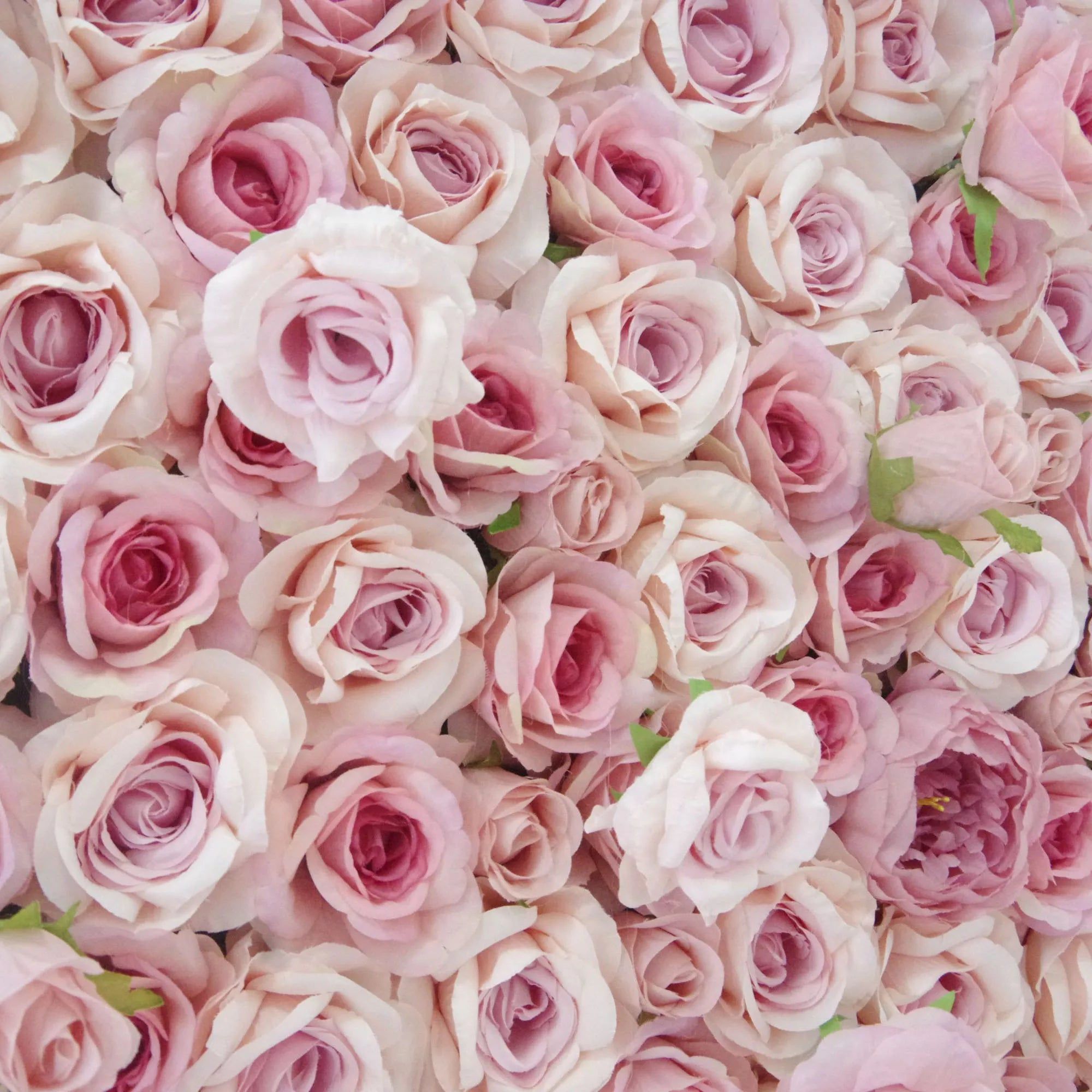 Pink Core Wallpapers - Top Free Pink Core Backgrounds - WallpaperAccess
