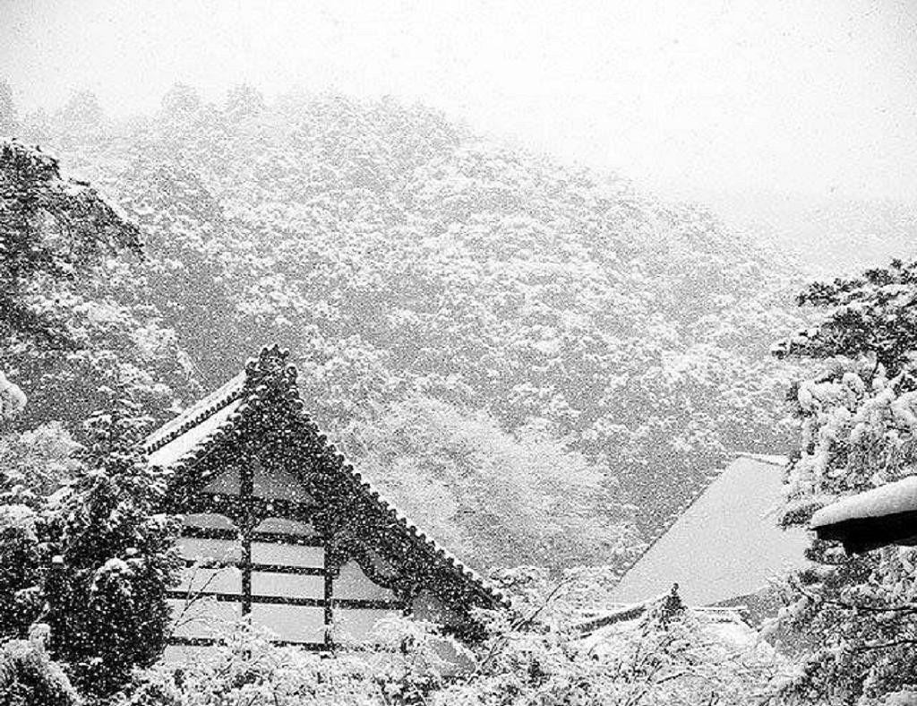 Japan Winter Wallpapers - Top Free Japan Winter Backgrounds ...