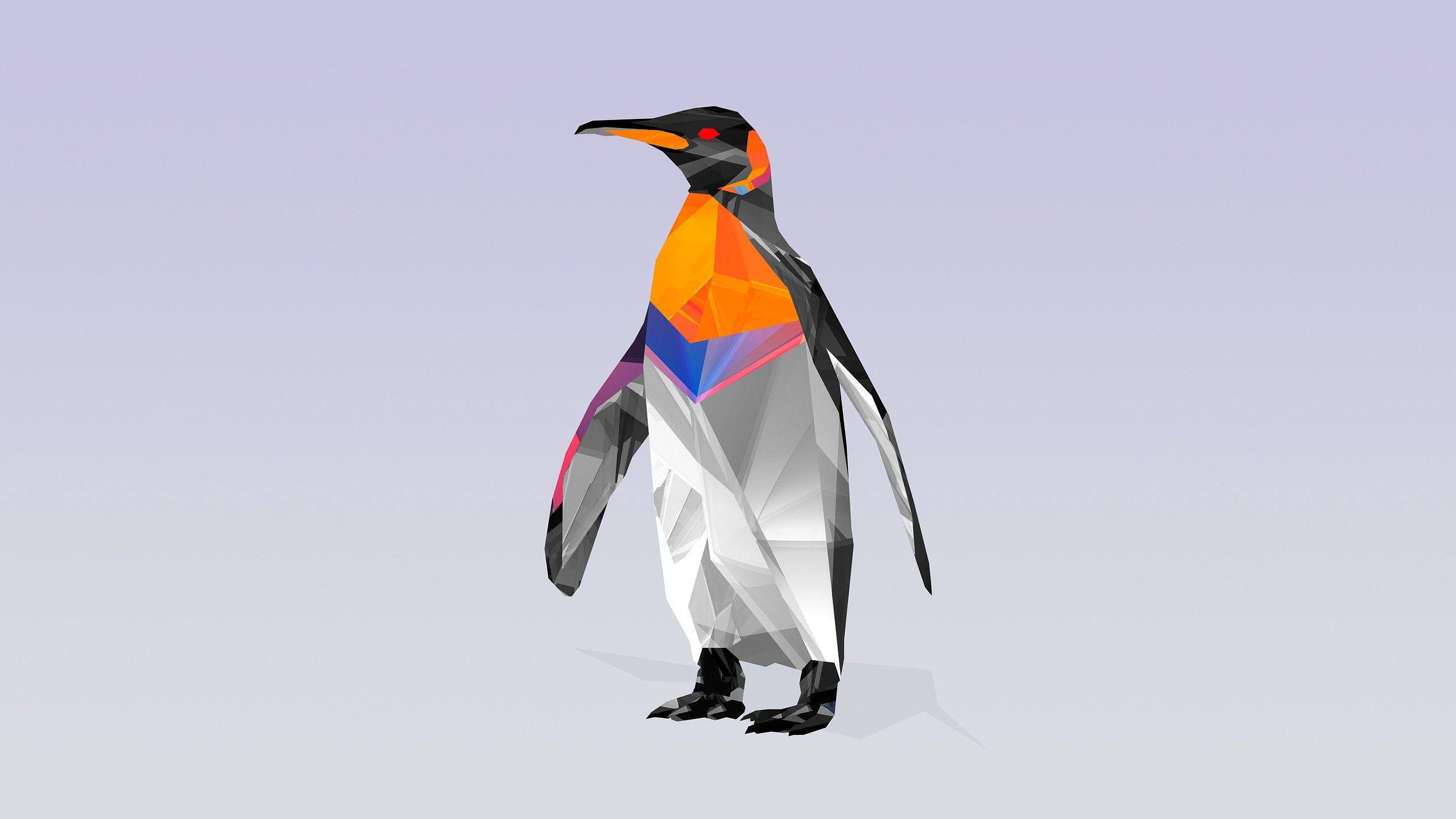 4K Penguin Wallpapers - Top Free 4K Penguin Backgrounds - WallpaperAccess