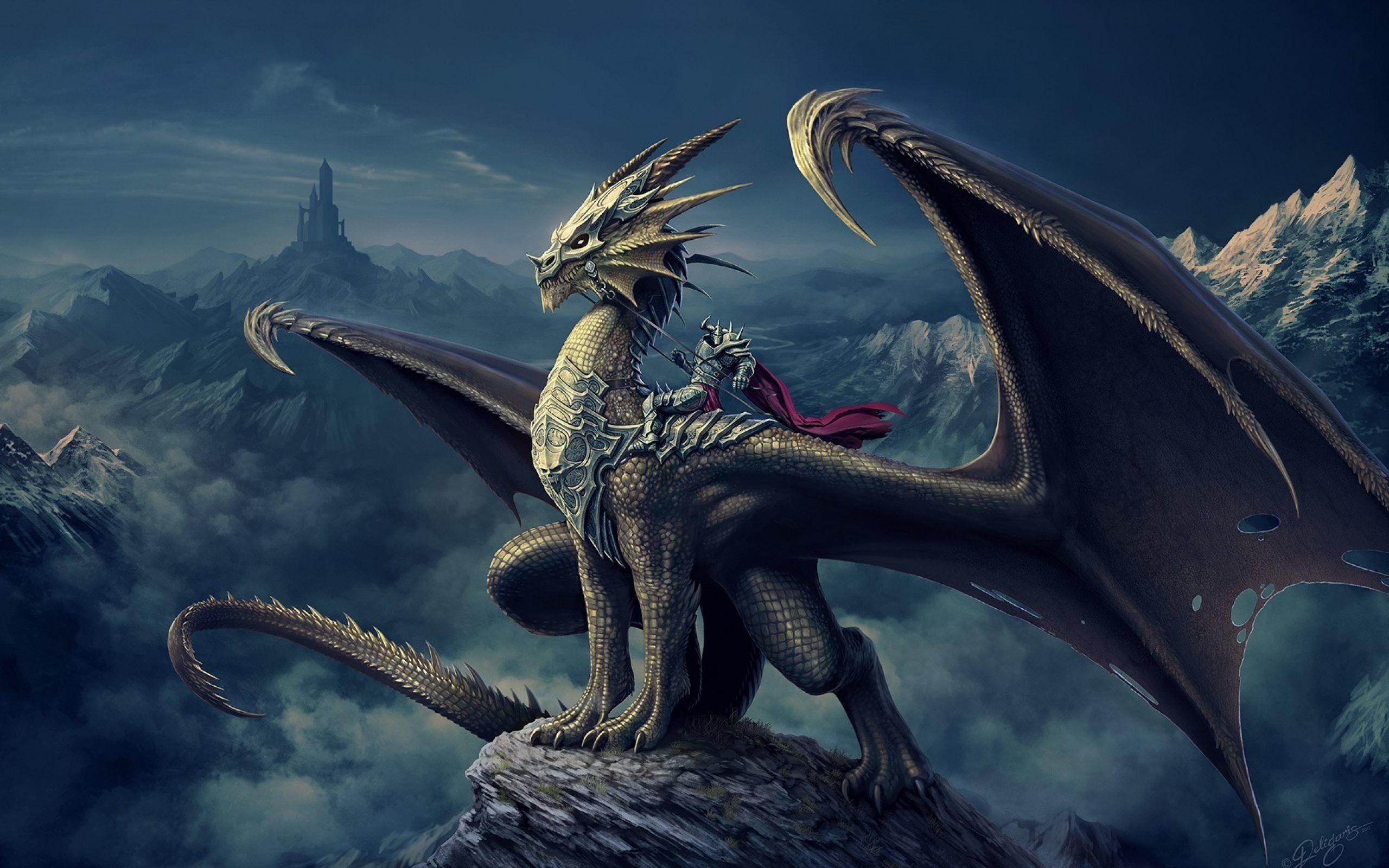 Gothic Dragon Wallpapers - Top Free Gothic Dragon Backgrounds ...
