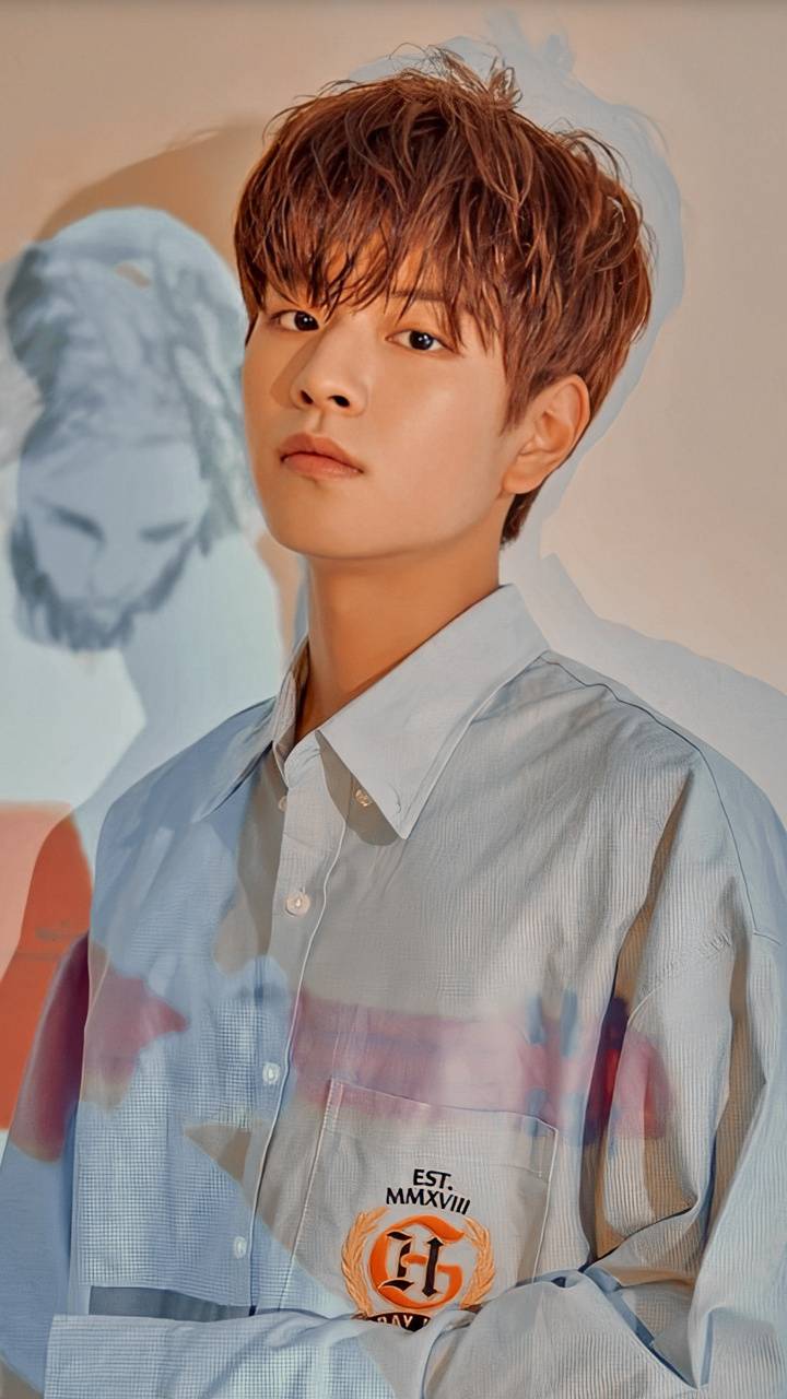 Seungmin Wallpapers - Top Free Seungmin Backgrounds - WallpaperAccess