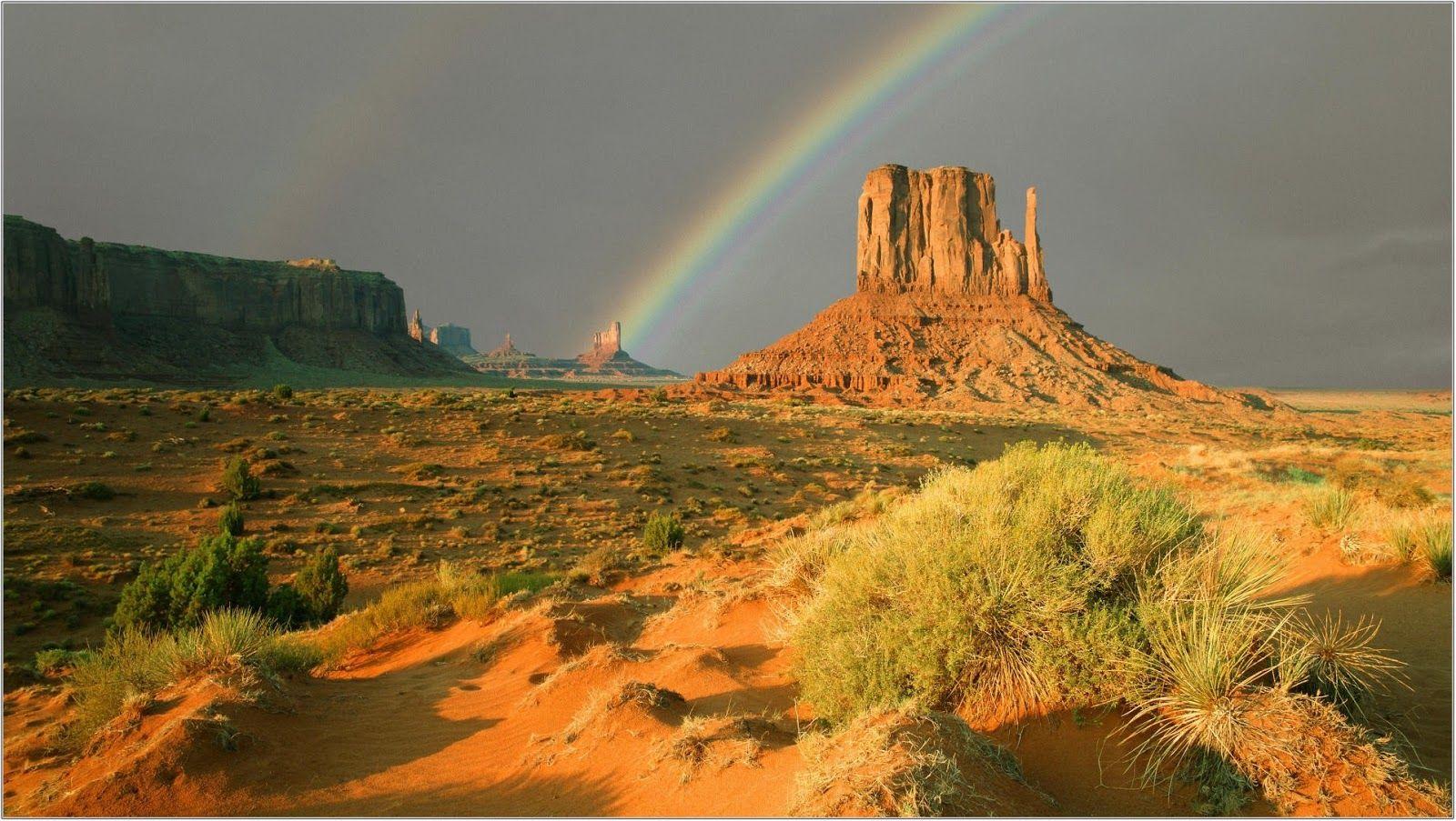 Texas Wallpapers - Top Free Texas Backgrounds - WallpaperAccess