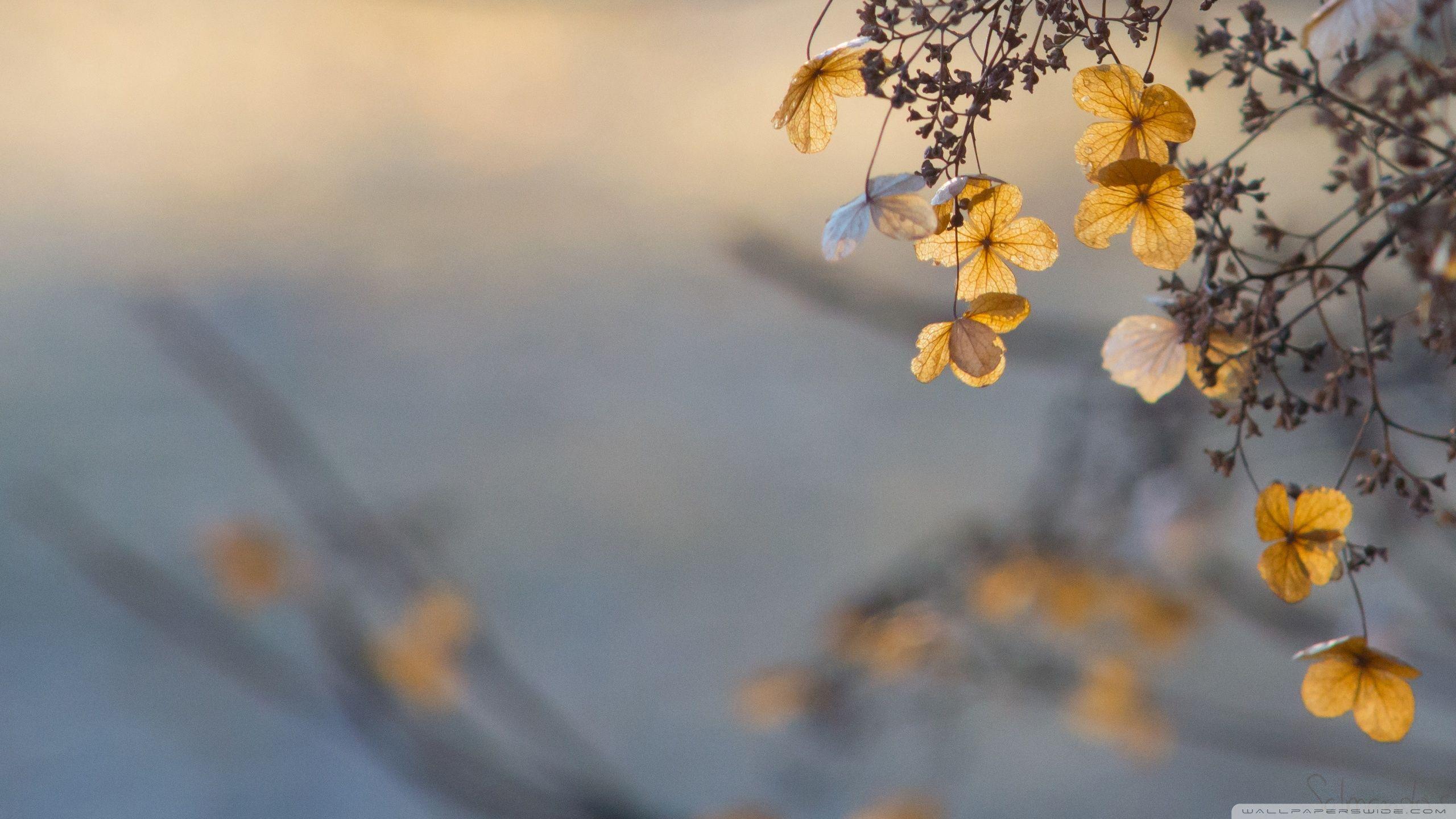 Waiting Wallpapers - Top Free Waiting Backgrounds - WallpaperAccess