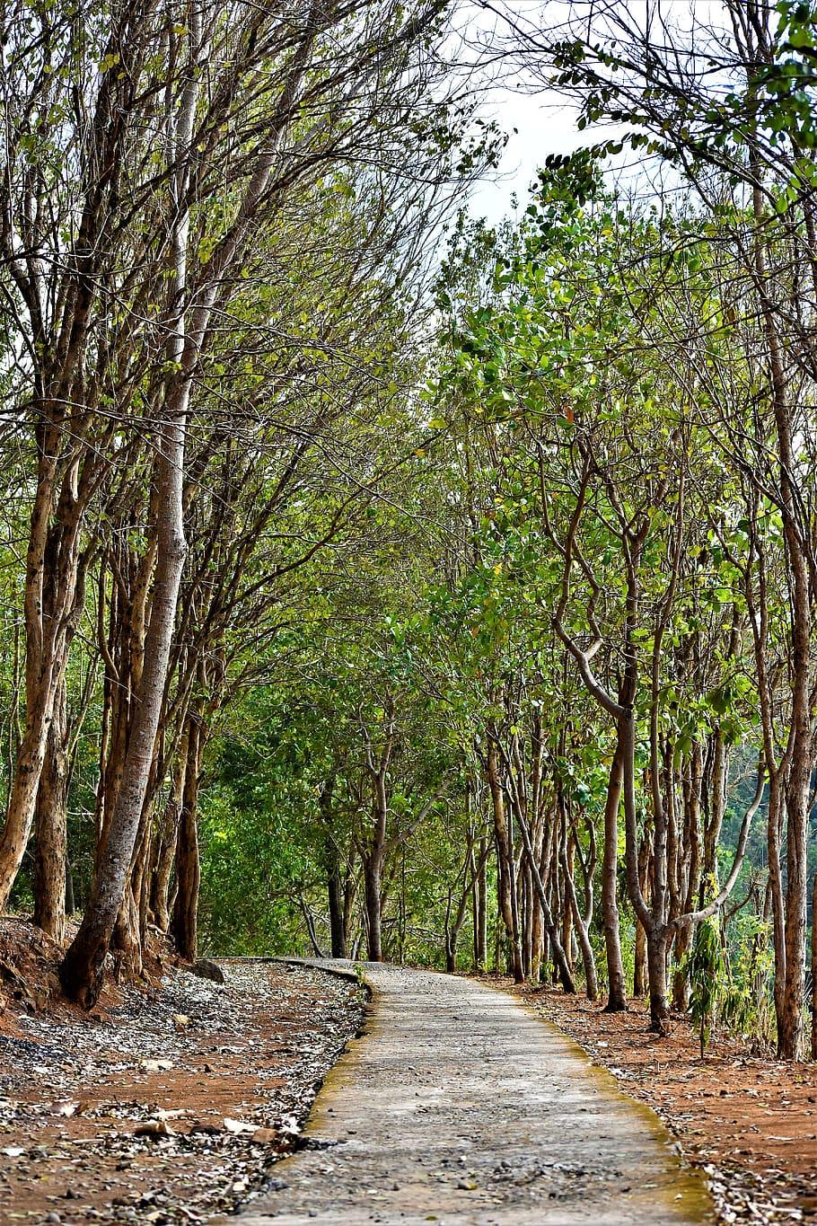 Jogja Wallpapers - Top Free Jogja Backgrounds - WallpaperAccess