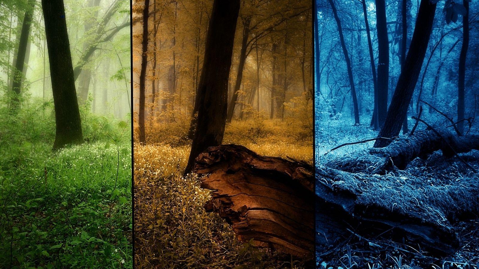 Summer and Winter Wallpapers - Top Free Summer and Winter Backgrounds ...