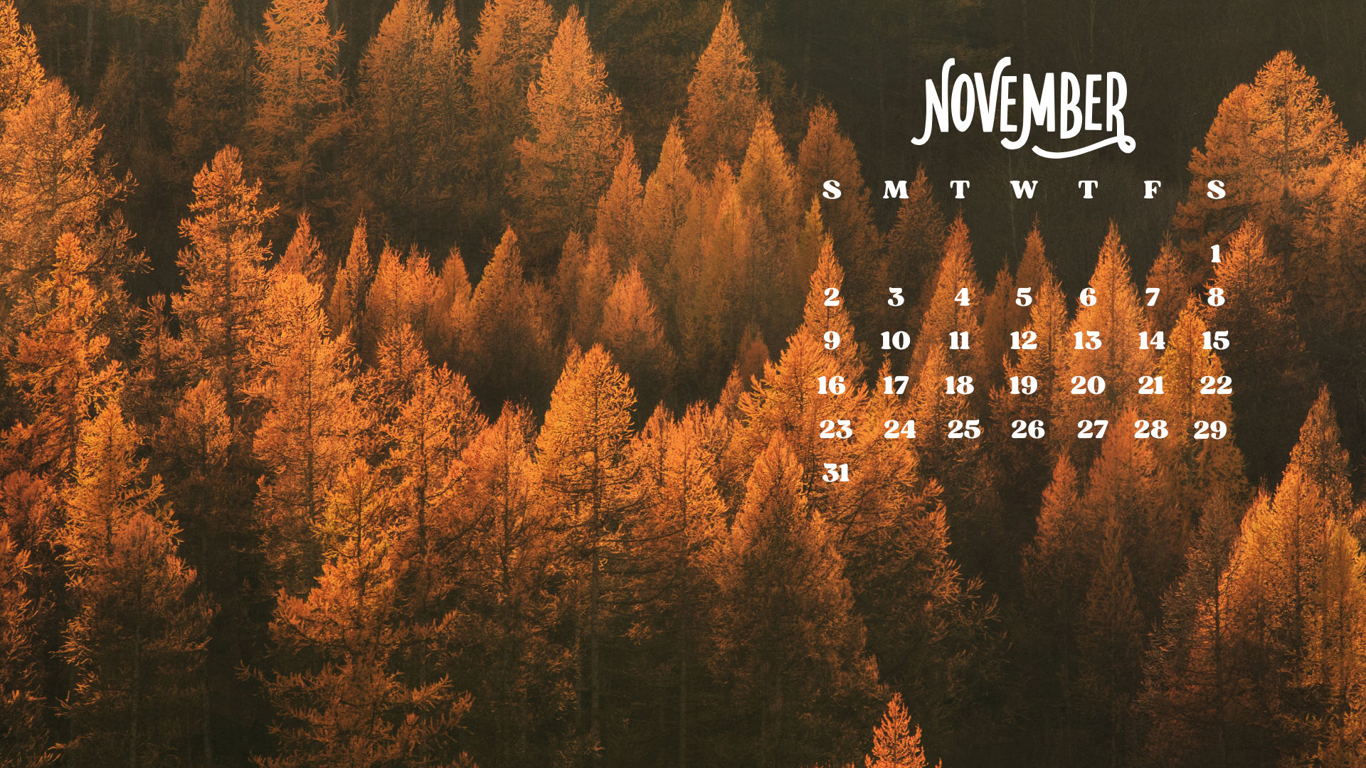 November 2025 Calendar Wallpapers - Top Free November 2025 Calendar ...