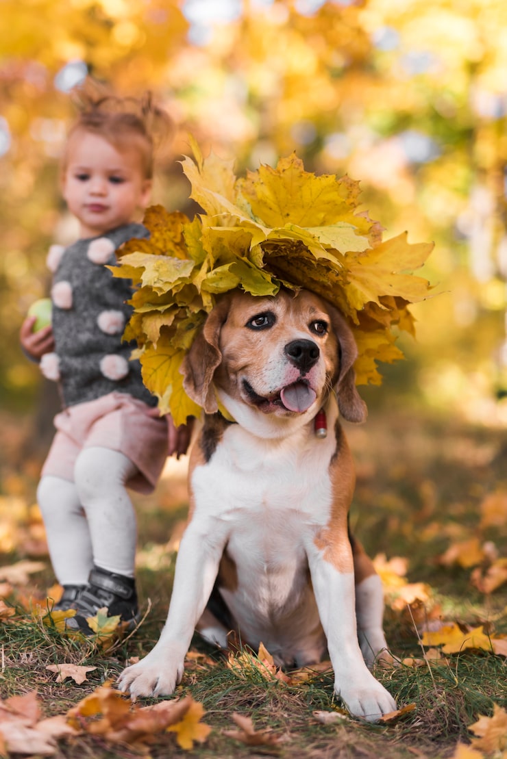 Thanksgiving Pets Wallpapers - Top Free Thanksgiving Pets Backgrounds ...