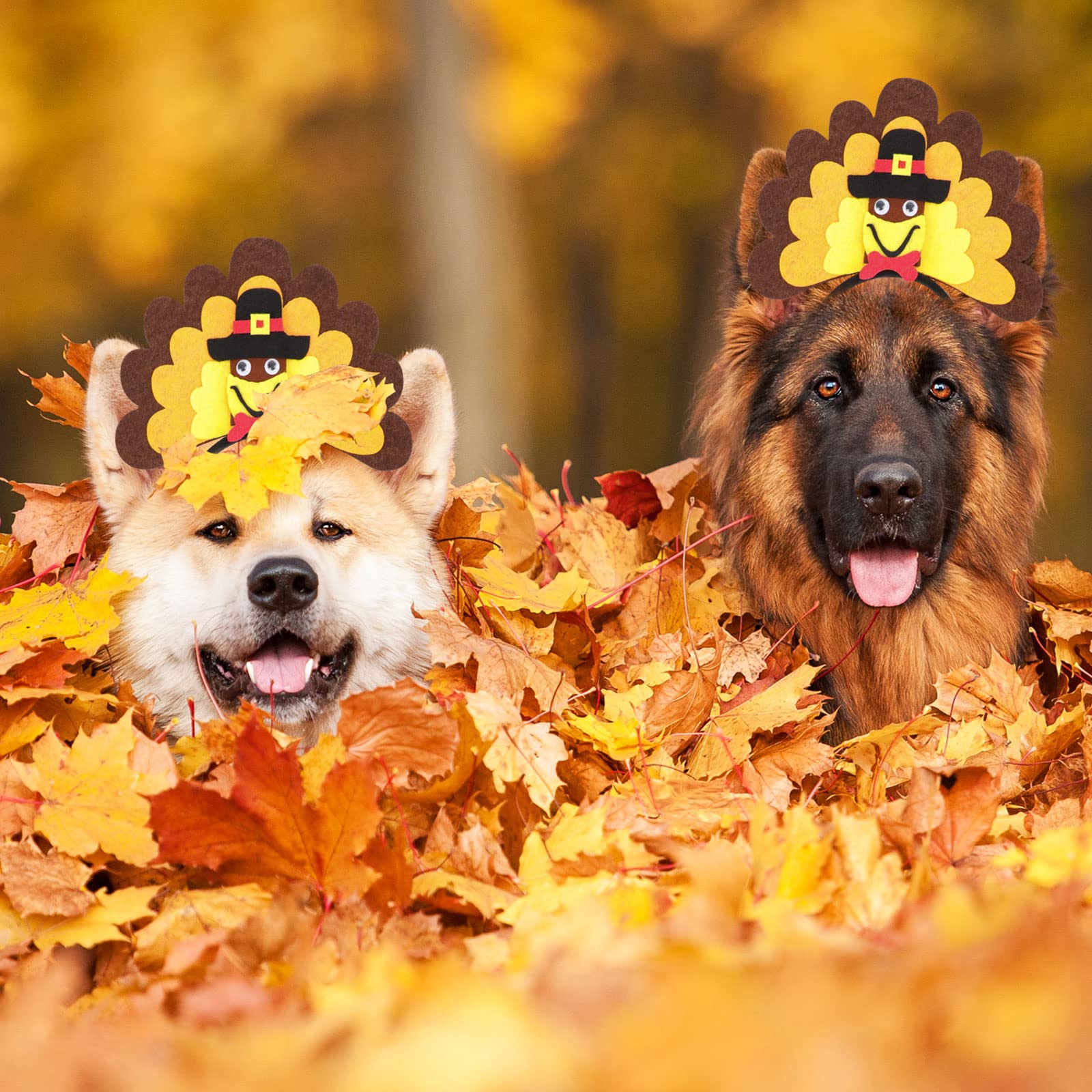 Thanksgiving Pets Wallpapers - Top Free Thanksgiving Pets Backgrounds ...