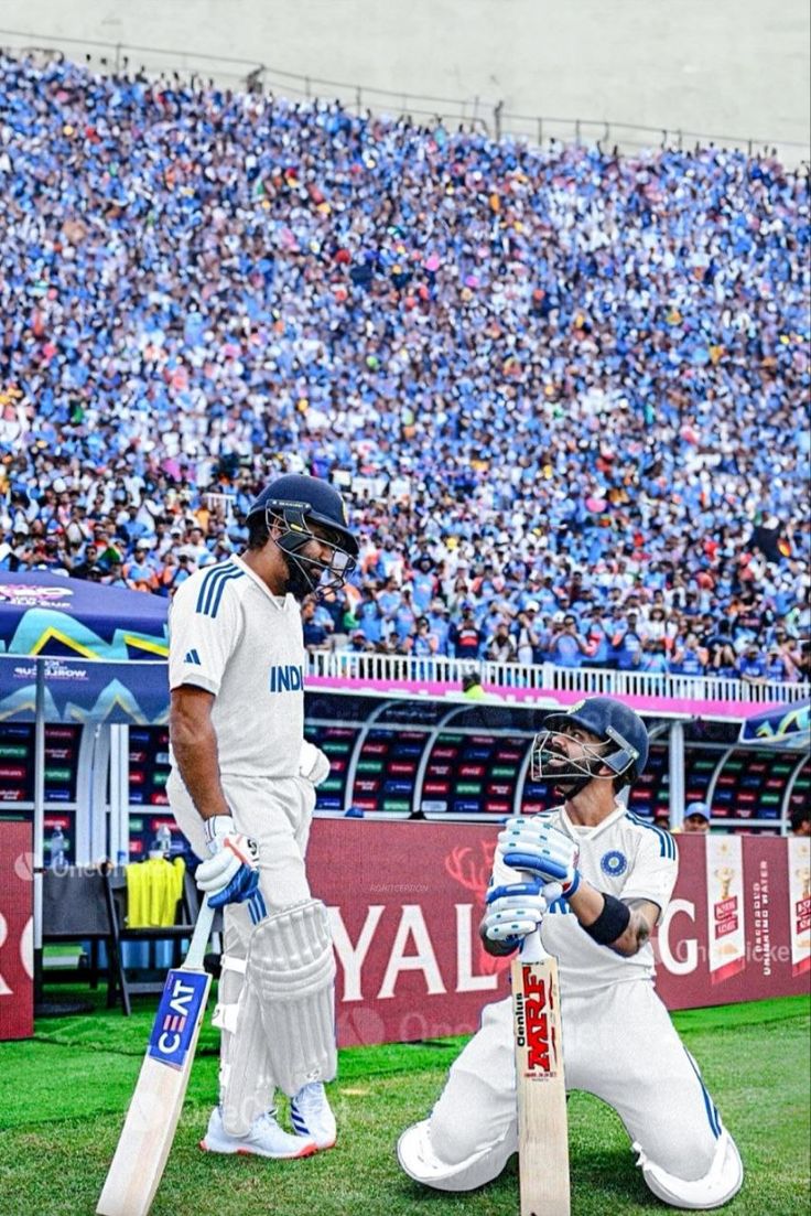 Roko Wallpapers - Top Free Roko Backgrounds - WallpaperAccess