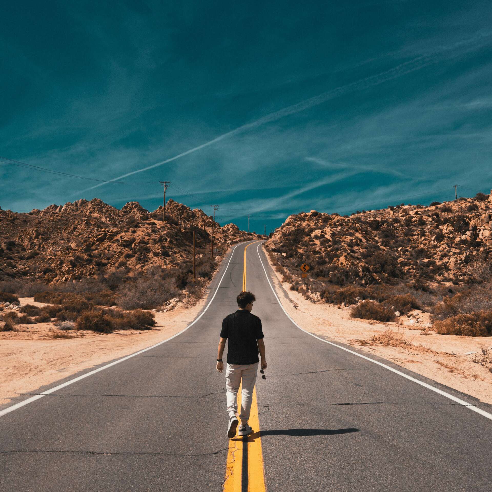 Roko Wallpapers - Top Free Roko Backgrounds - WallpaperAccess