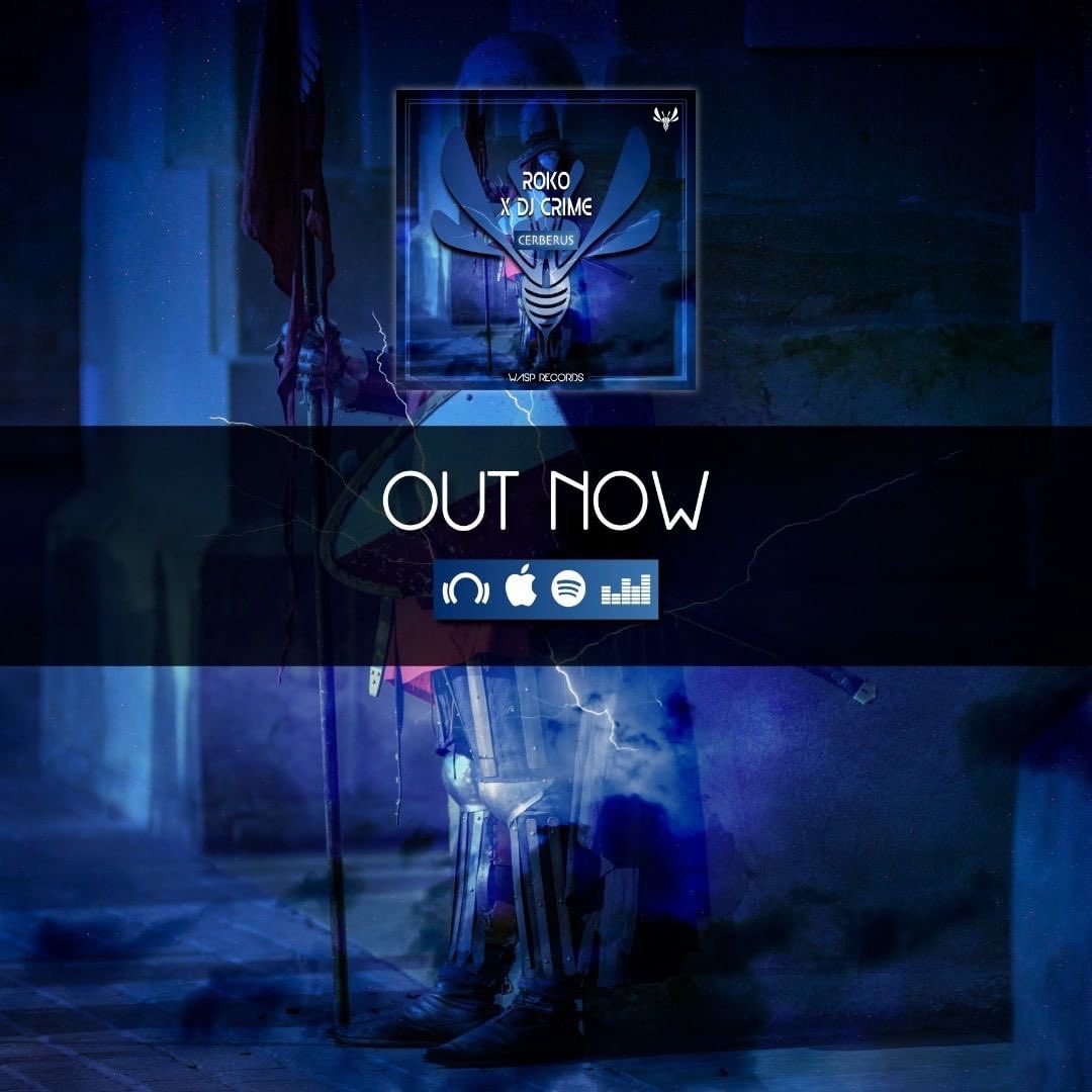 Roko Wallpapers - Top Free Roko Backgrounds - WallpaperAccess