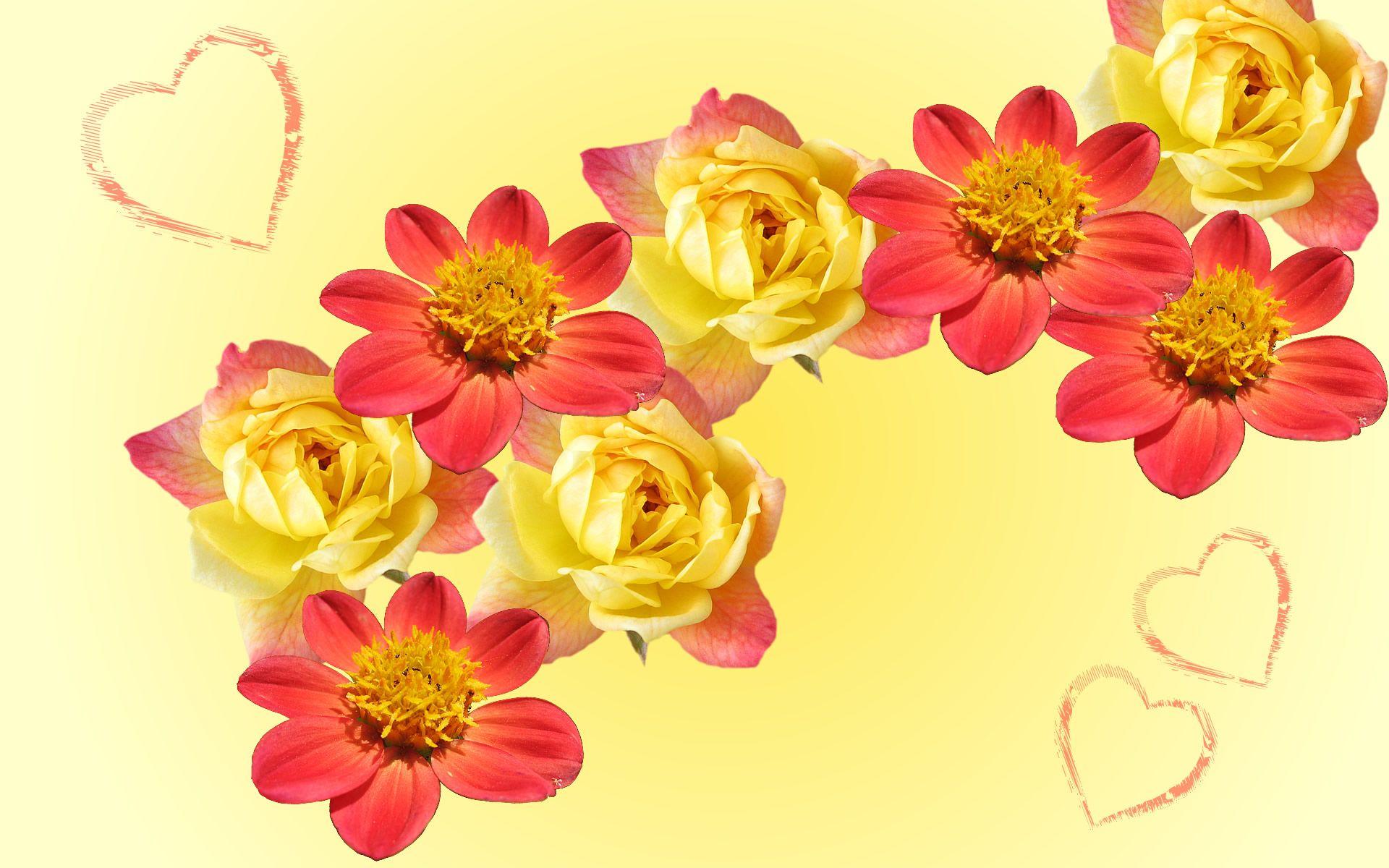 Flower Power Wallpapers - Top Free Flower Power Backgrounds ...
