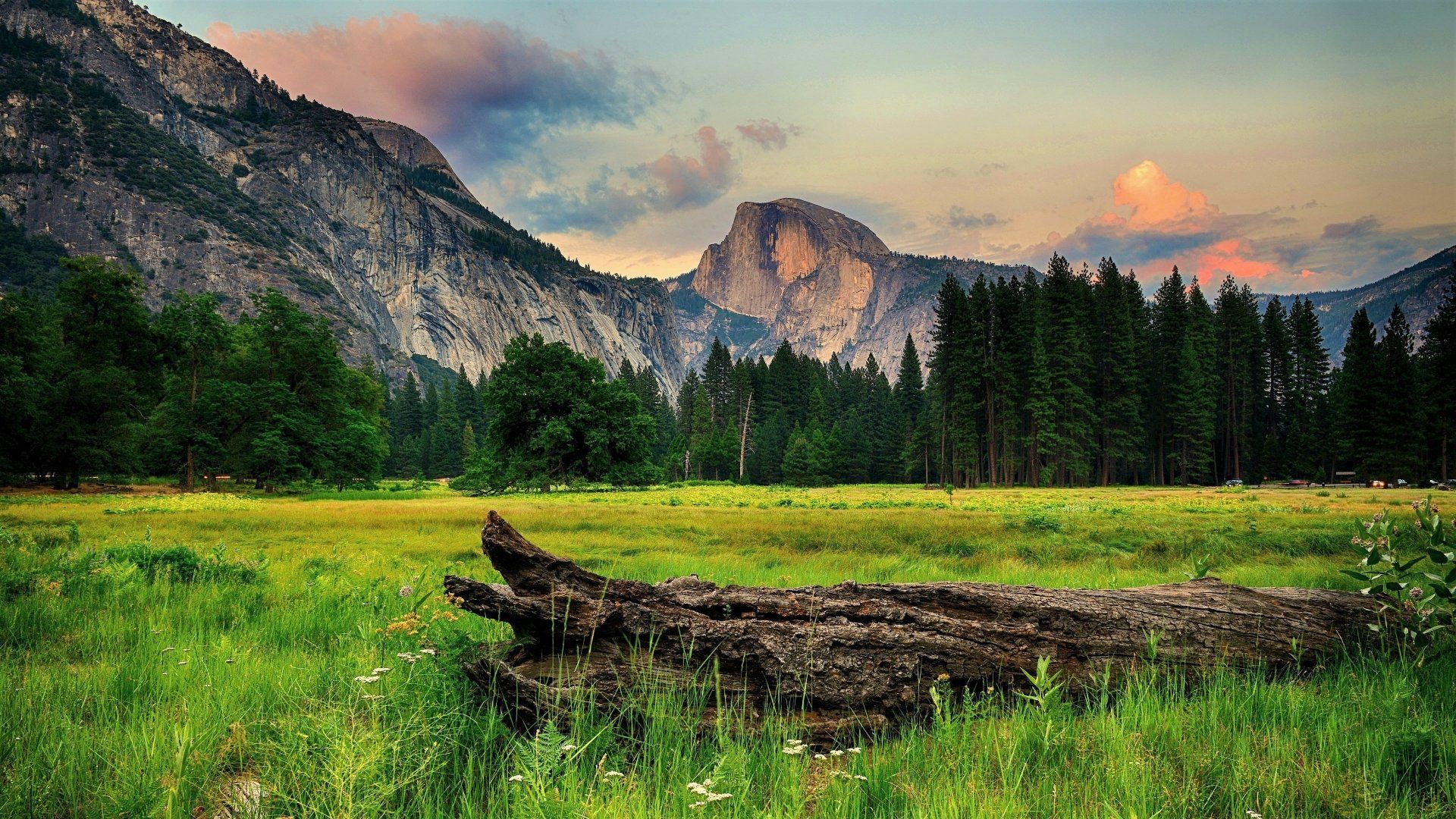 Natural 8K Wallpapers - Top Free Natural 8K Backgrounds - WallpaperAccess
