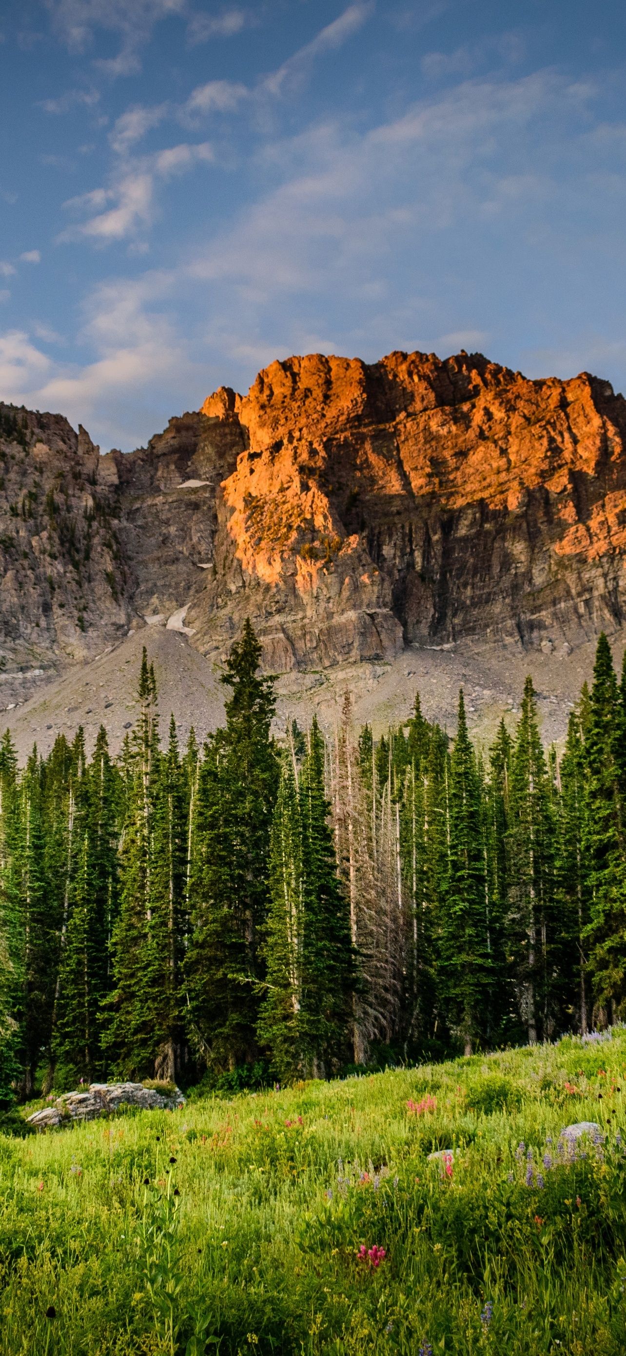 Natural 8K Wallpapers - Top Free Natural 8K Backgrounds - WallpaperAccess