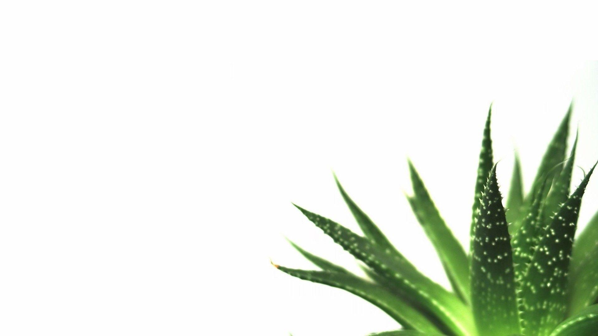 Nature Simple HD Wallpapers - Top Free Nature Simple HD Backgrounds ...