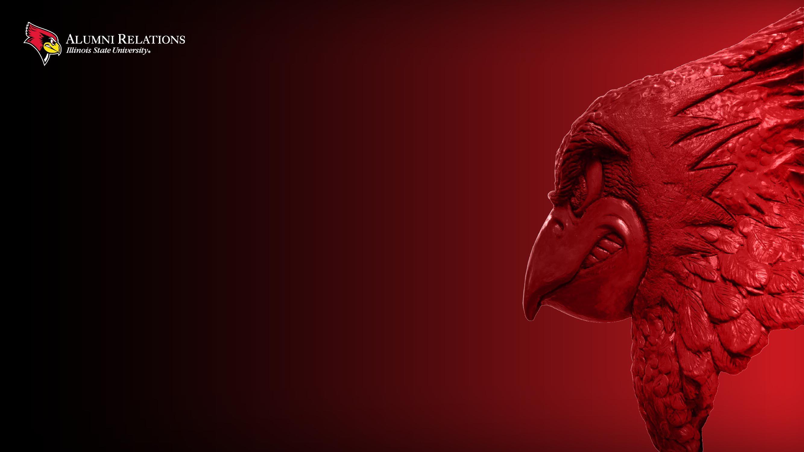 University of Illinois Wallpapers - Top Free University of Illinois ...