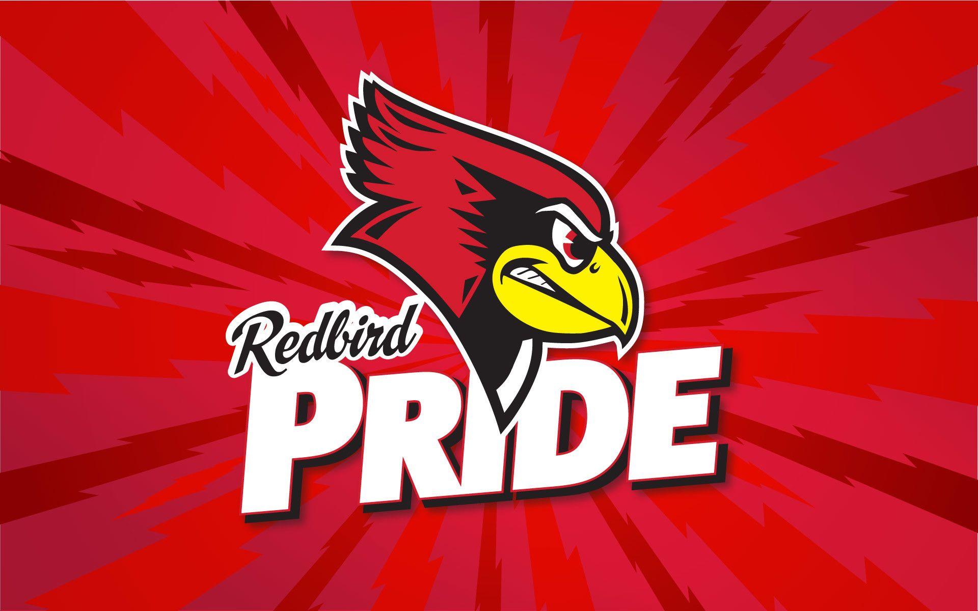 University of Illinois Wallpapers - Top Free University of Illinois ...