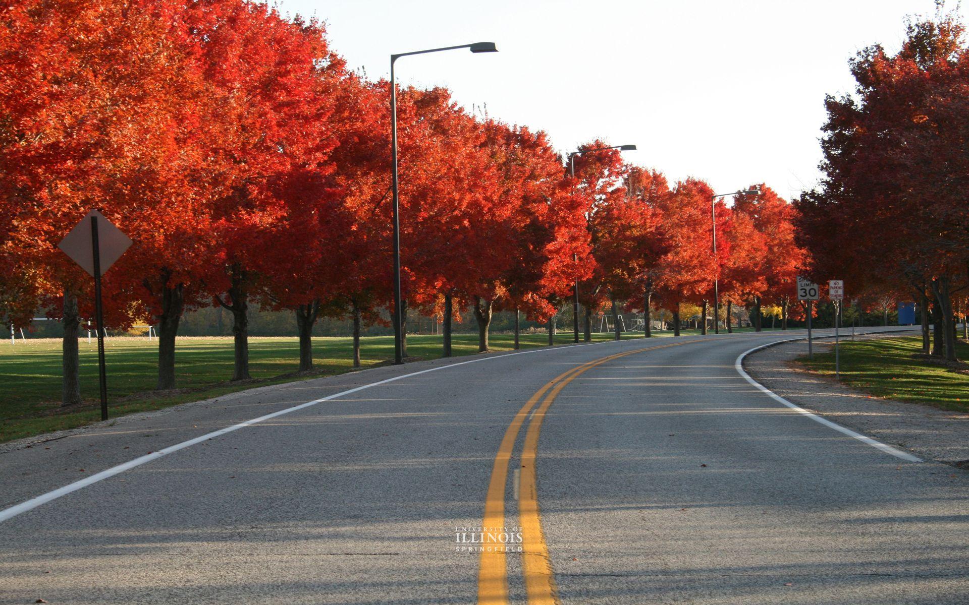 University of Illinois Wallpapers - Top Free University of Illinois ...