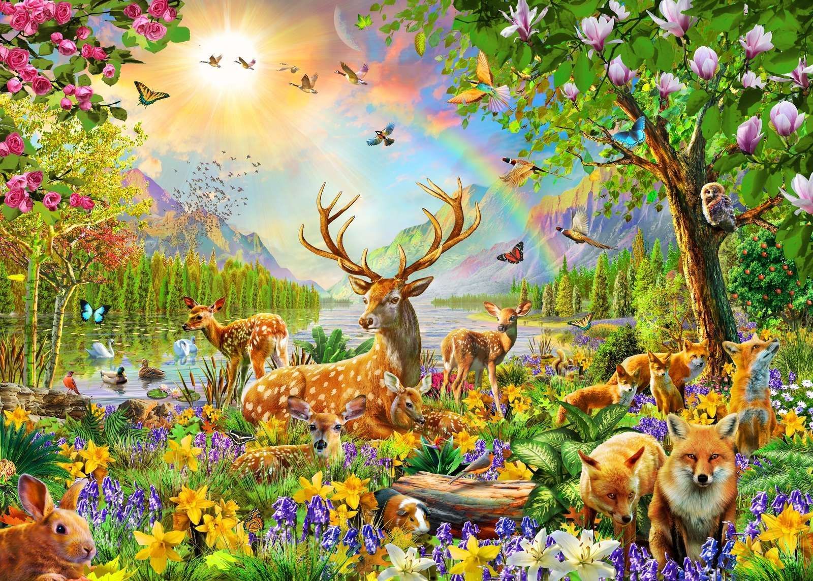 Animals In Spring Wallpapers - Top Free Animals In Spring Backgrounds ...