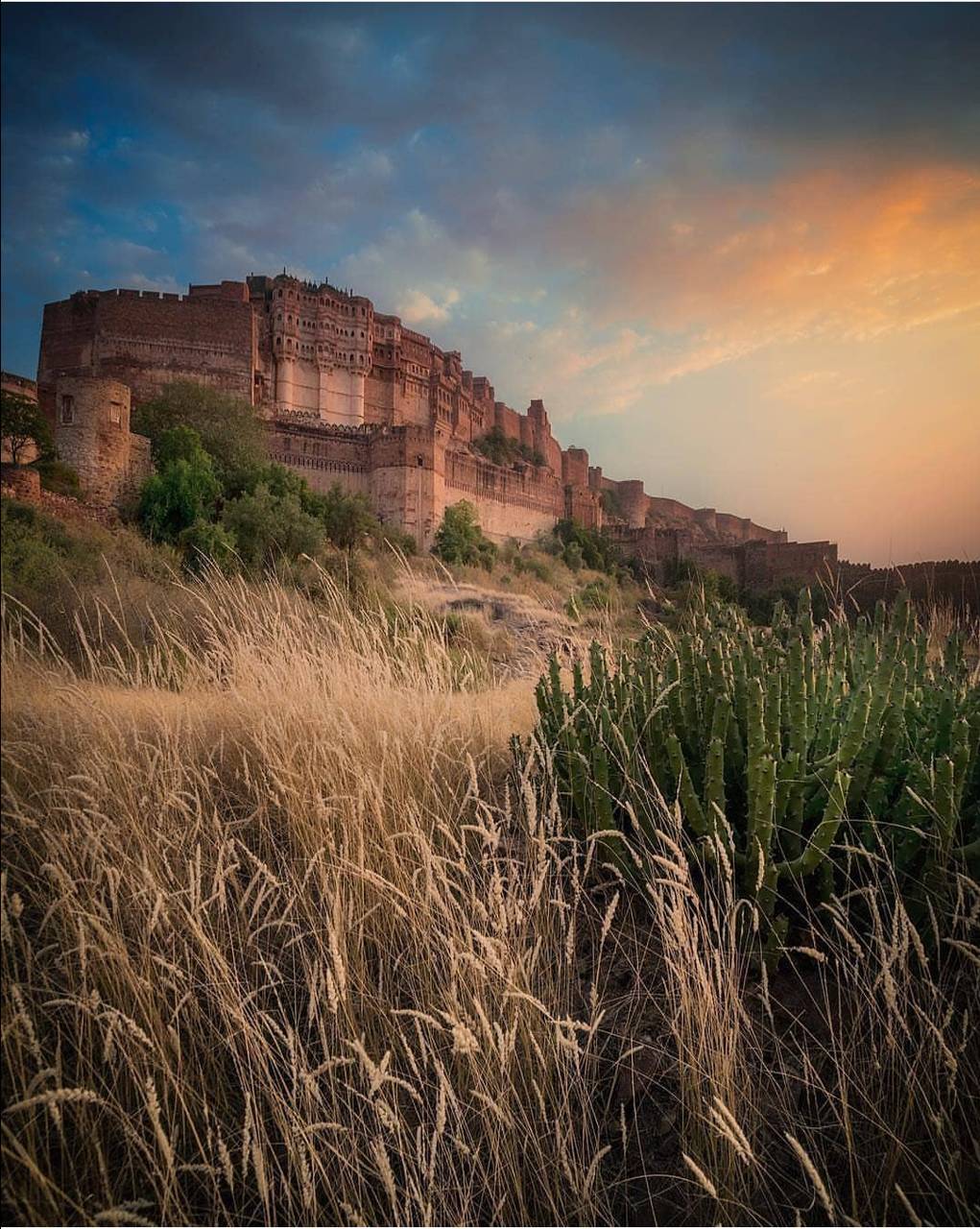 Jodhpur Wallpapers - Top Free Jodhpur Backgrounds - WallpaperAccess Jodhpur Wallpapers - Top Free Jodhpur Backgrounds - WallpaperAccess