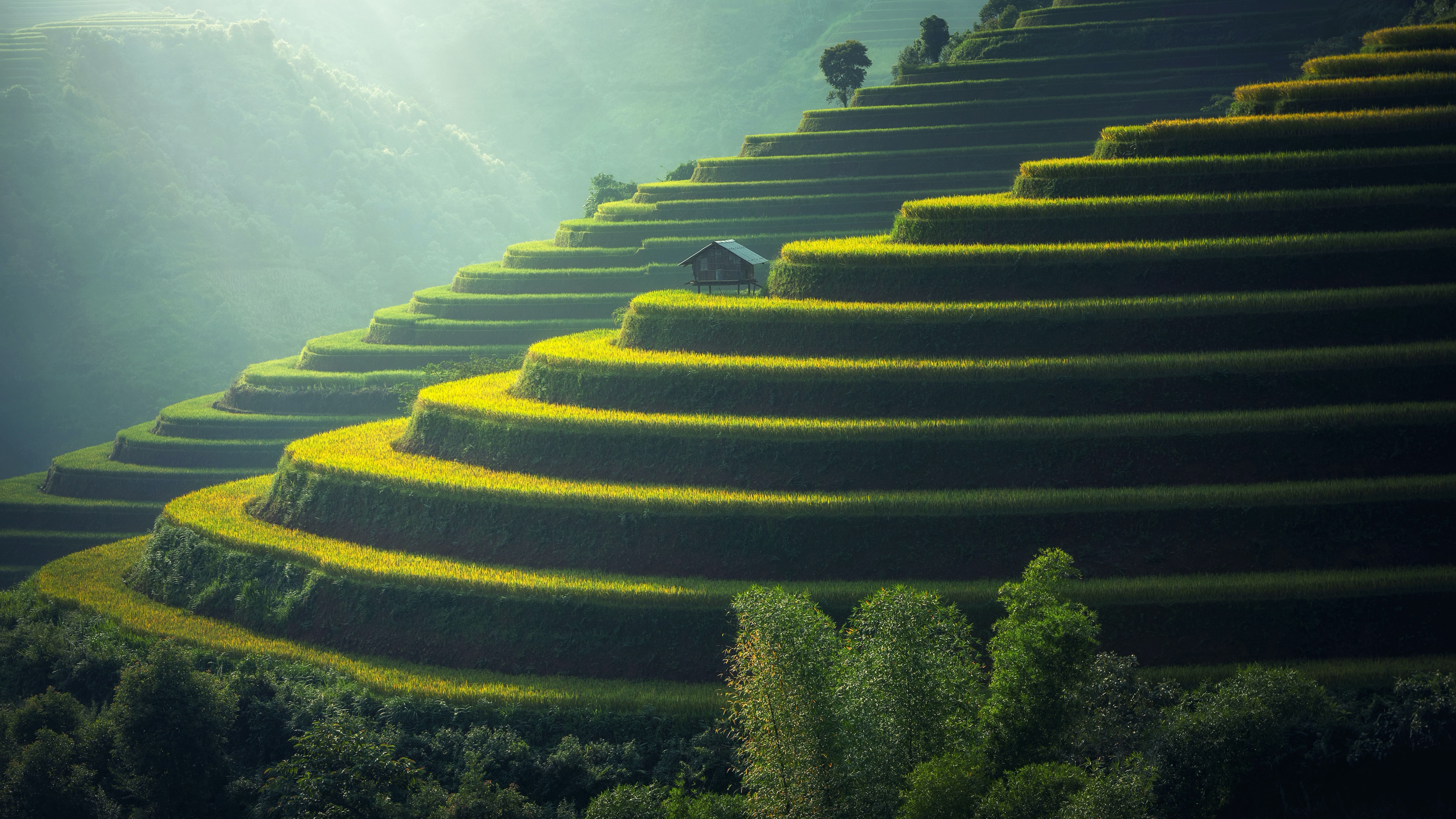 Plants 8K Wallpapers - Top Free Plants 8K Backgrounds - WallpaperAccess