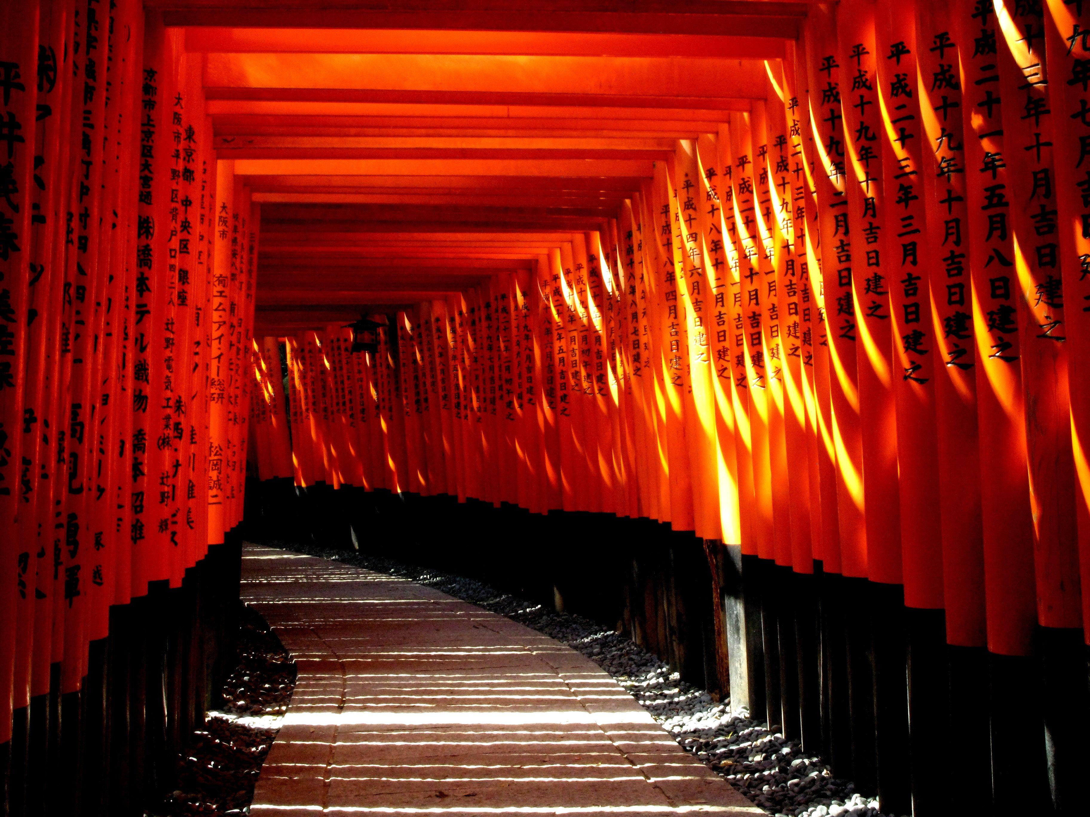 Fushimi Inari Wallpapers - Top Free Fushimi Inari Backgrounds ...