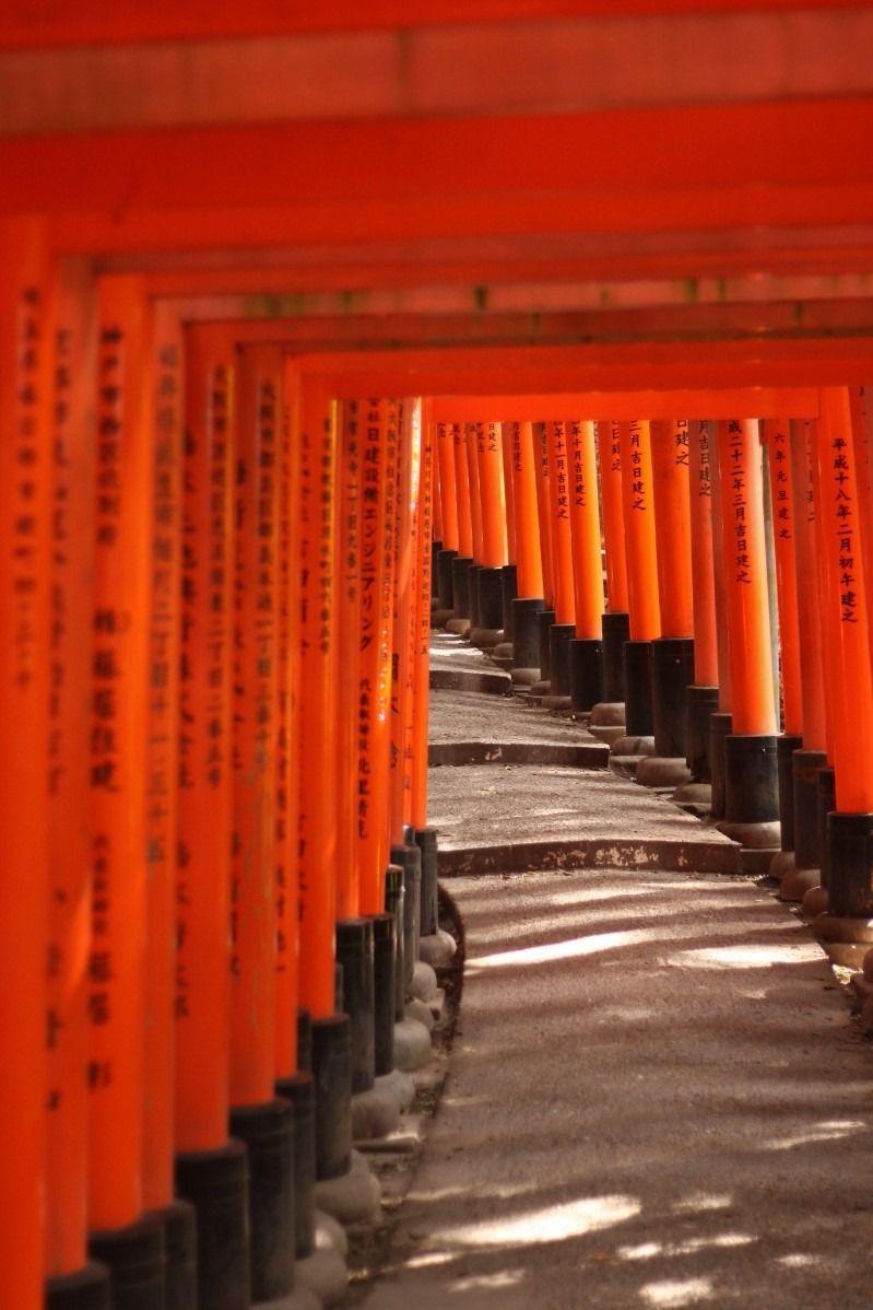 Fushimi Inari Wallpapers - Top Free Fushimi Inari Backgrounds ...